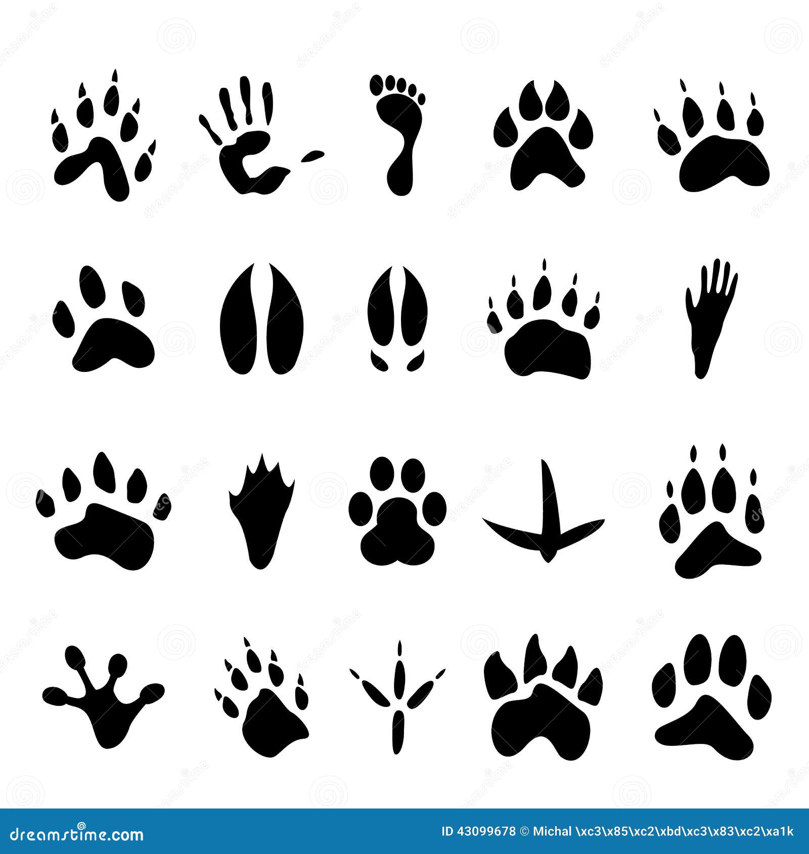 Collection Of 20 Animal And Human Footprints Vector Illustration ...