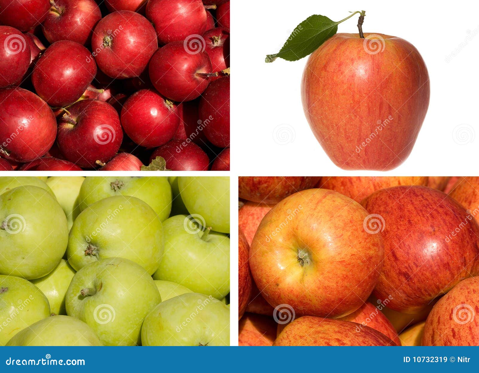 Collection of apples stock image. Image of snack, clean - 10732319