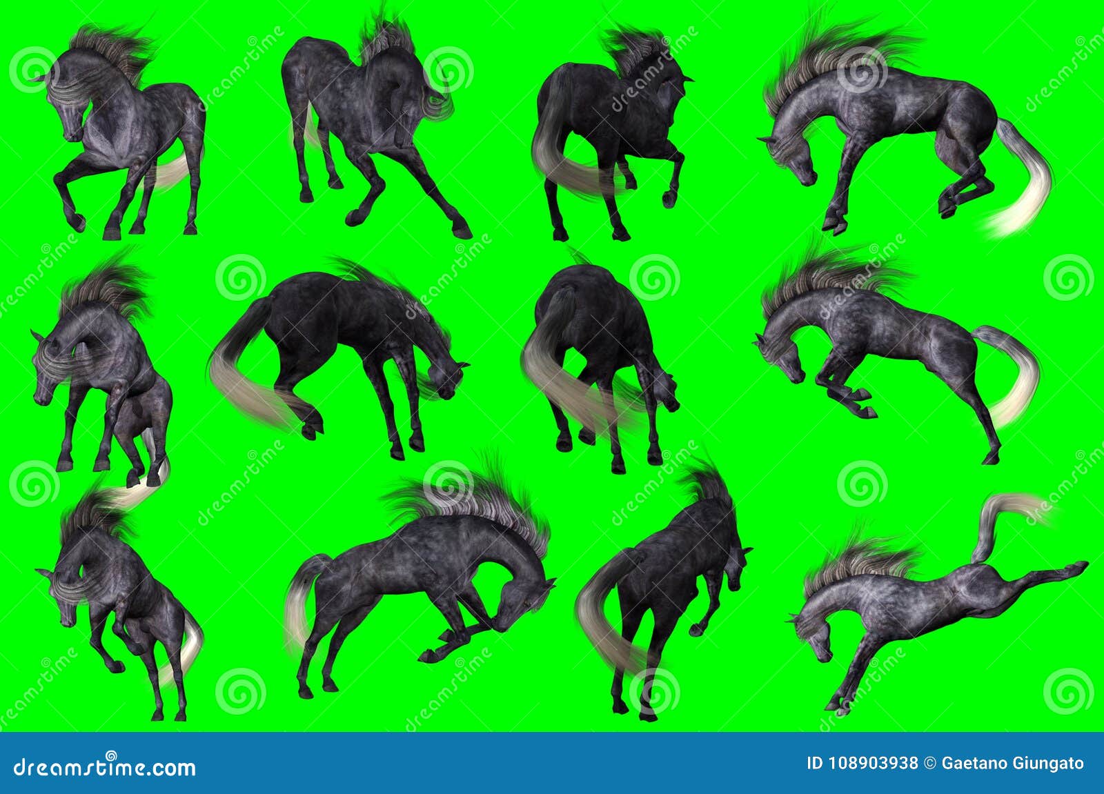 Horse Poses. Wild Horses Walking Or Gallop Running Pose, Arabian Mare ...