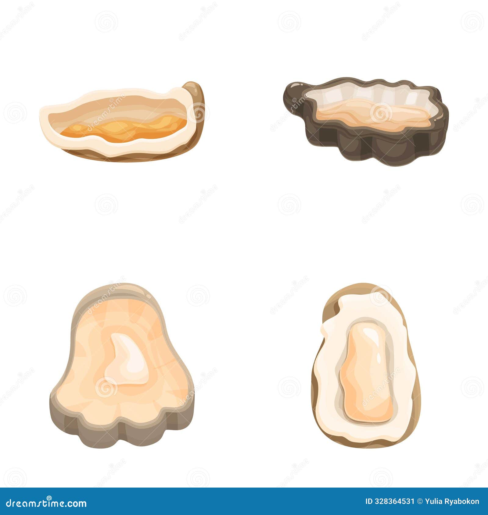Vector Set of Four Detailed Oyster Shells in Various Shapes on a White ...