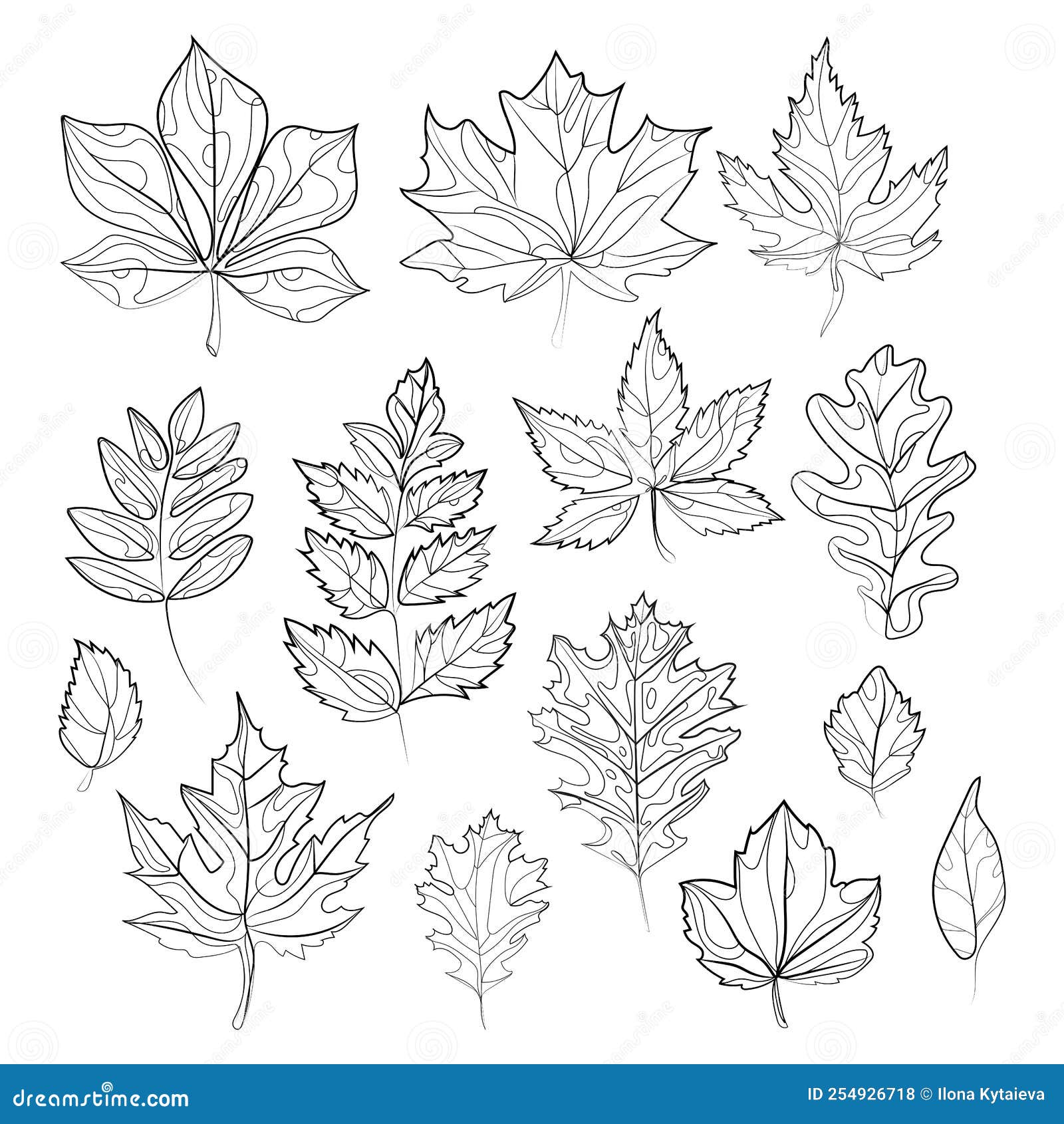 Collection of Autumn Different Leaves Abstract Line Drawing Design ...