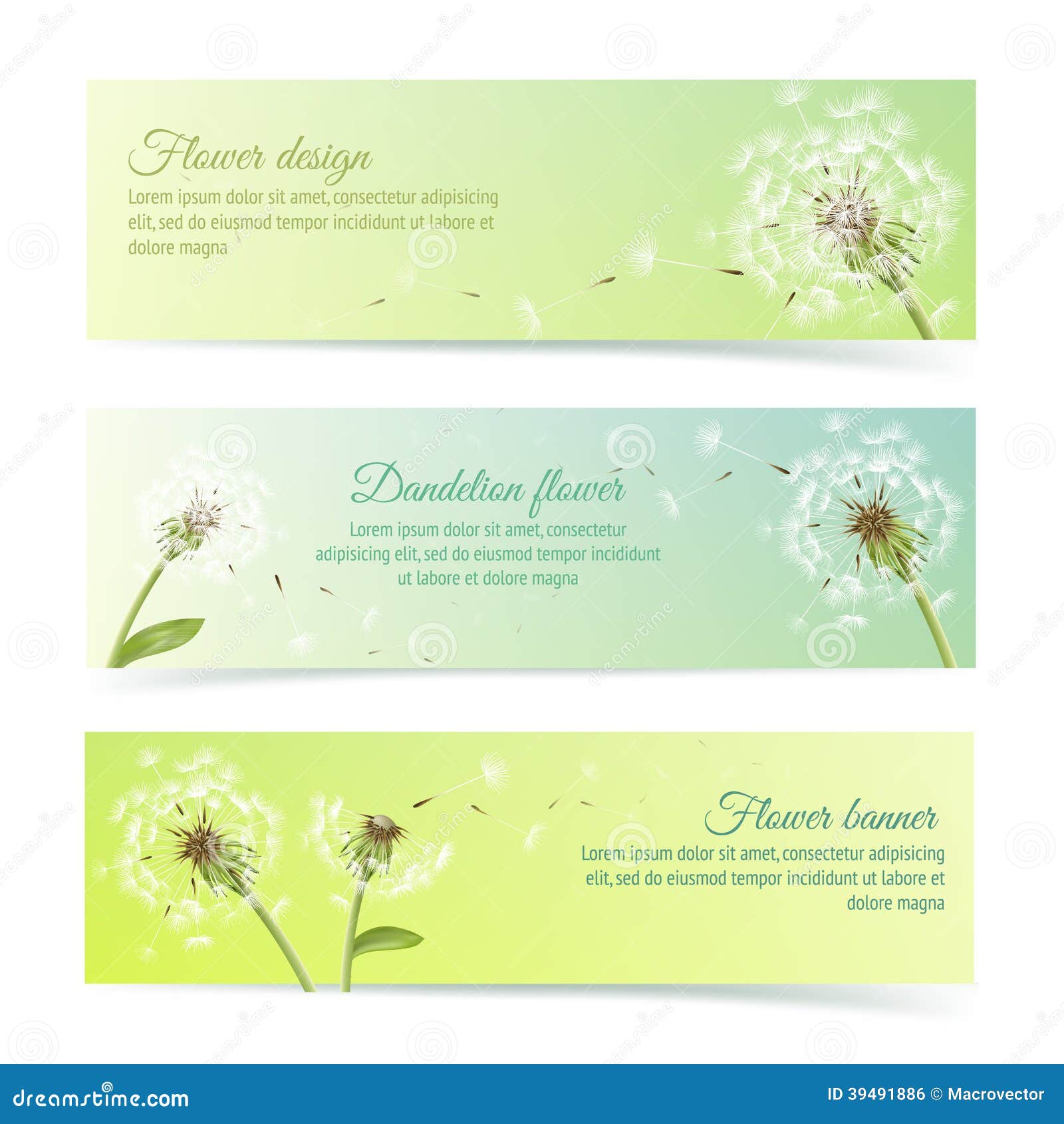 Collection of Banners and Ribbons with Dandelion Stock Vector ...