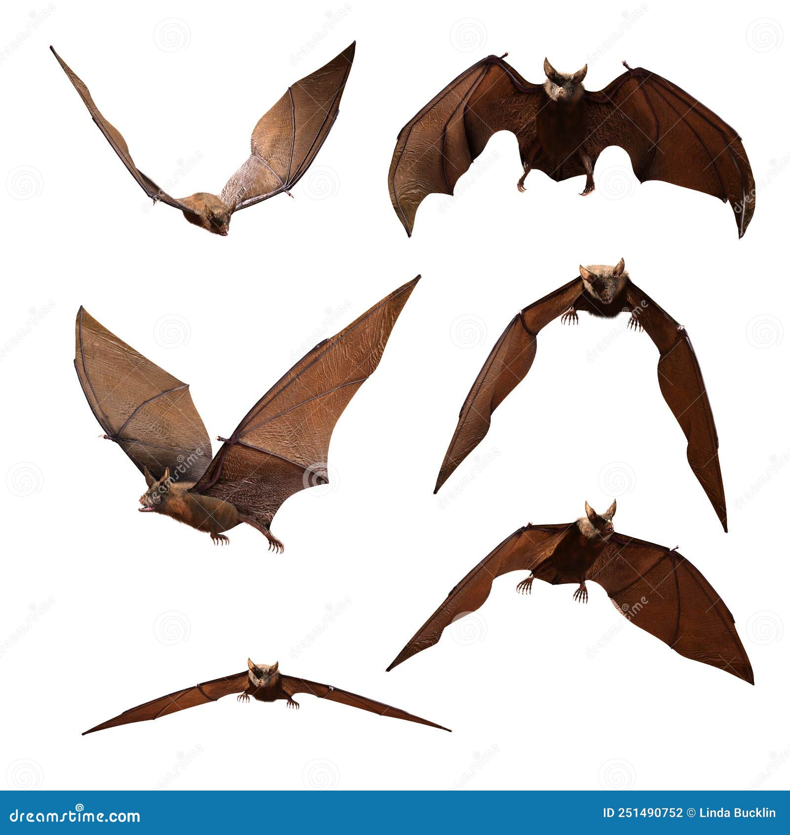 Collection of Bats stock illustration. Illustration of rendering ...