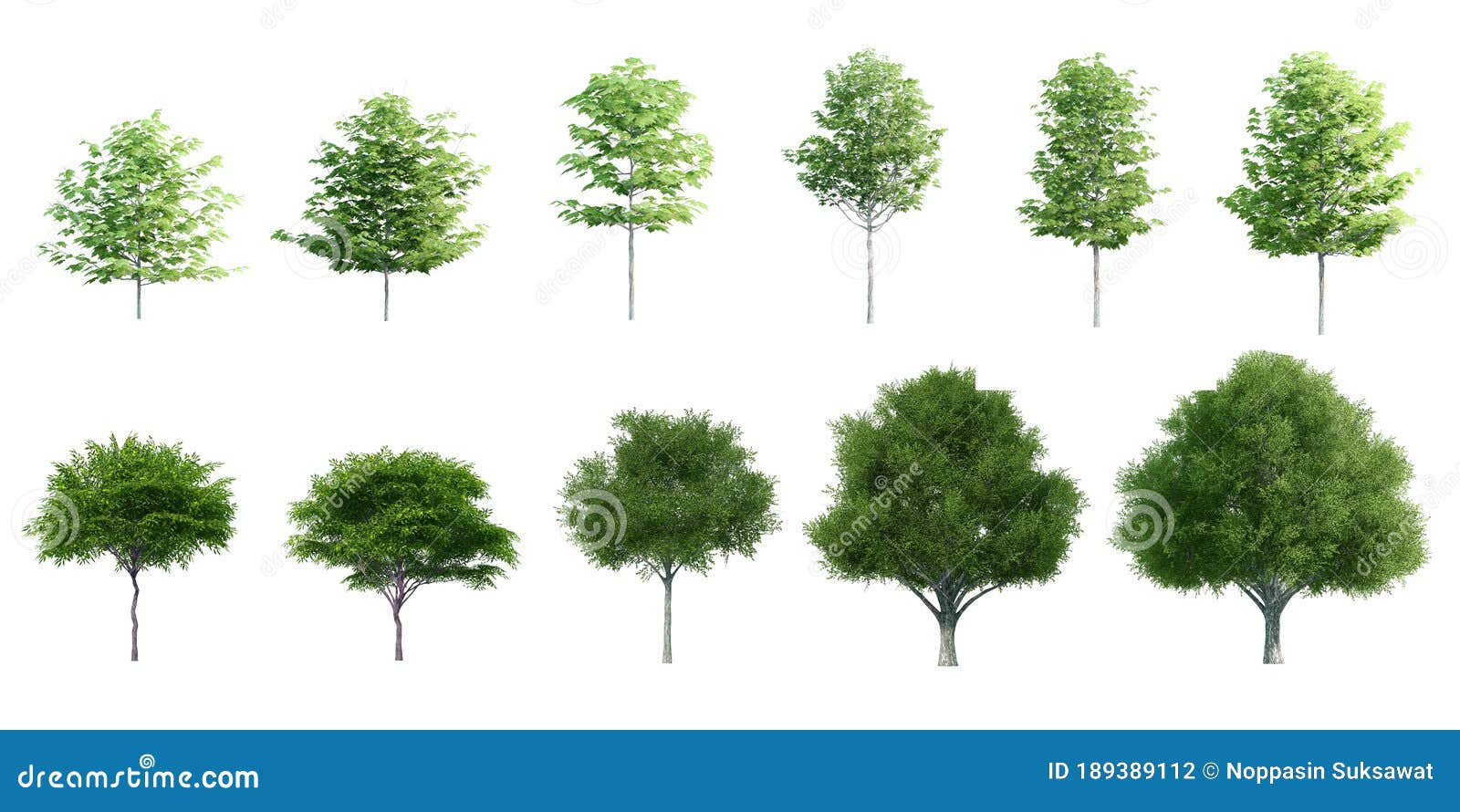 3D Trees Isolated on White Background Stock Illustration - Illustration ...
