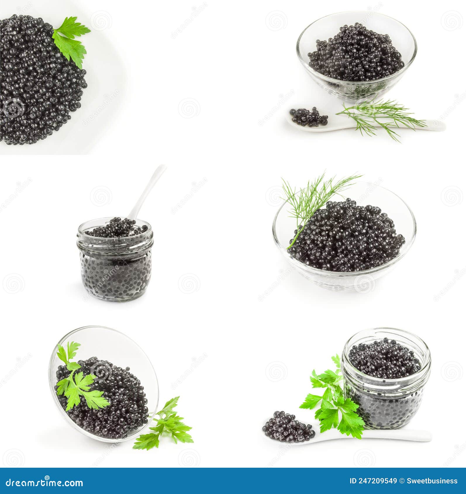 Collage of Black Roe Isolated on a White Cutout Stock Image - Image of ...