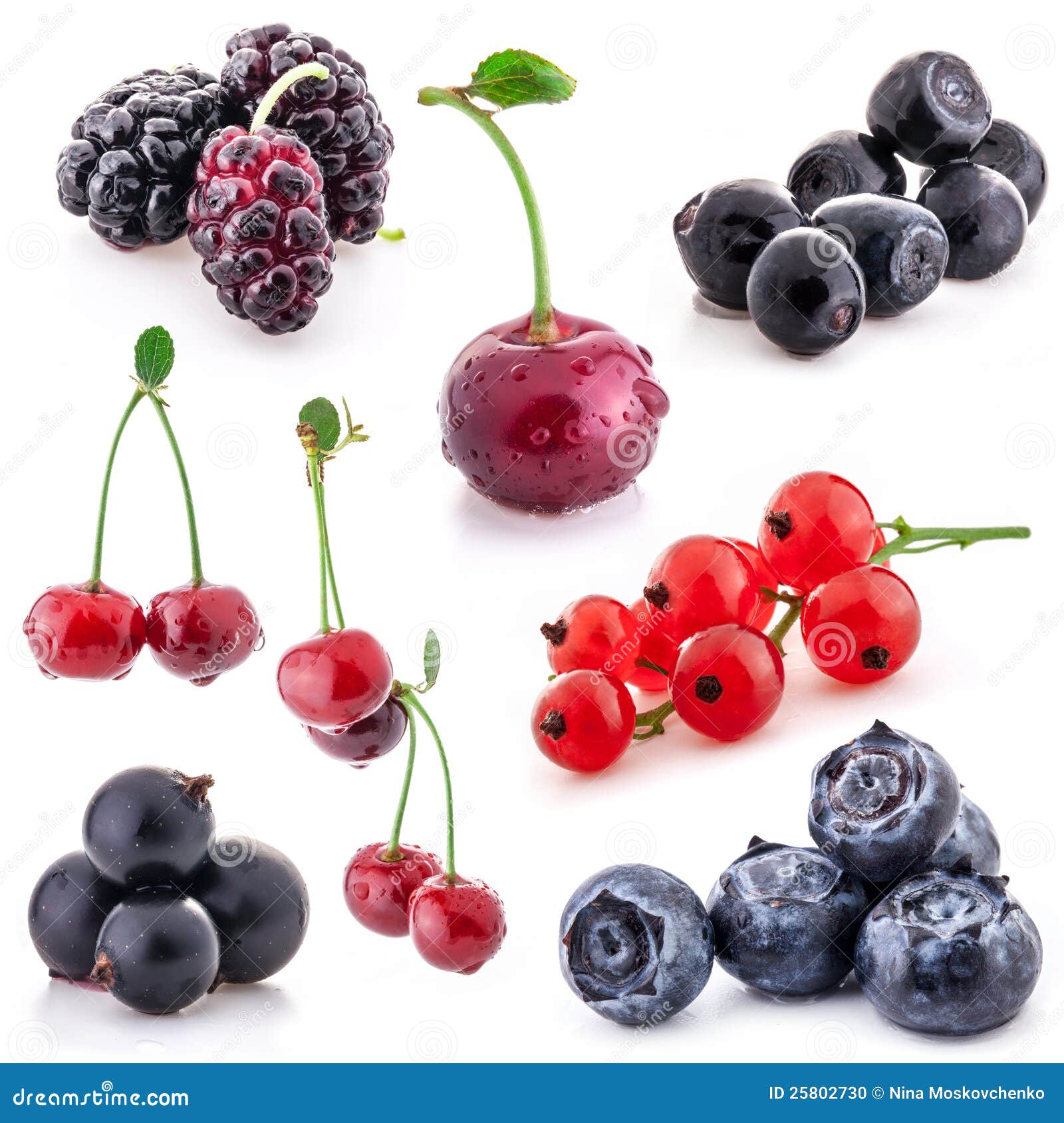 Collection of berry stock photo. Image of fructus, garden - 25802730