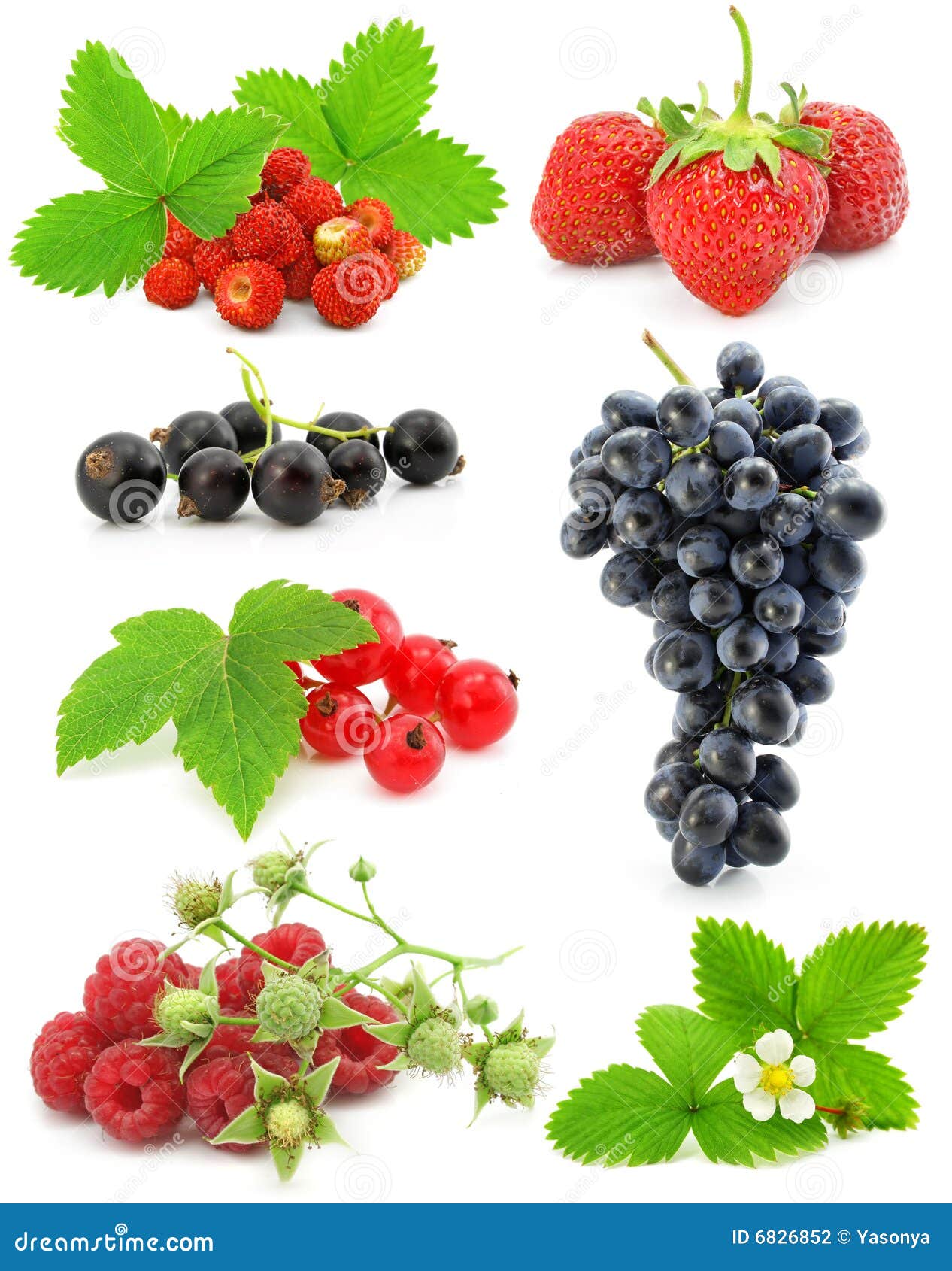 Collection of Berry Fruits Isolated on White Stock Photo - Image of ...