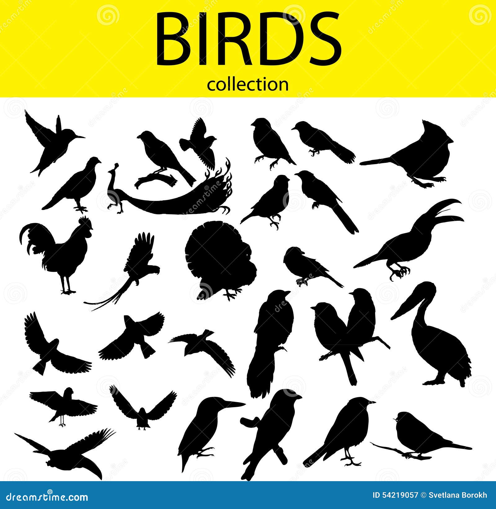 Collection of birds stock vector. Illustration of decoration - 54219057