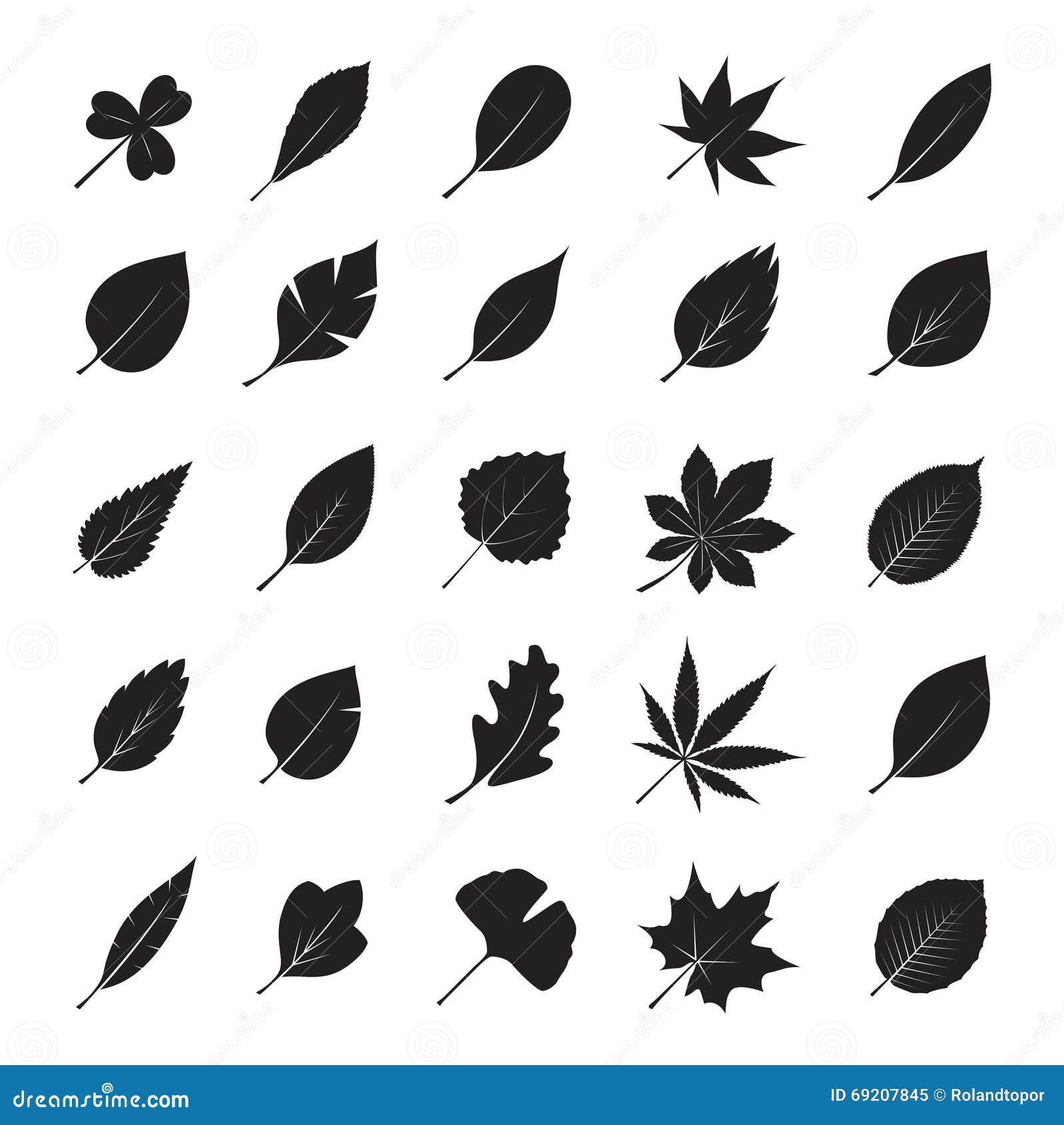 Collection of Black Leafs. Vector Illustration Stock Illustration ...