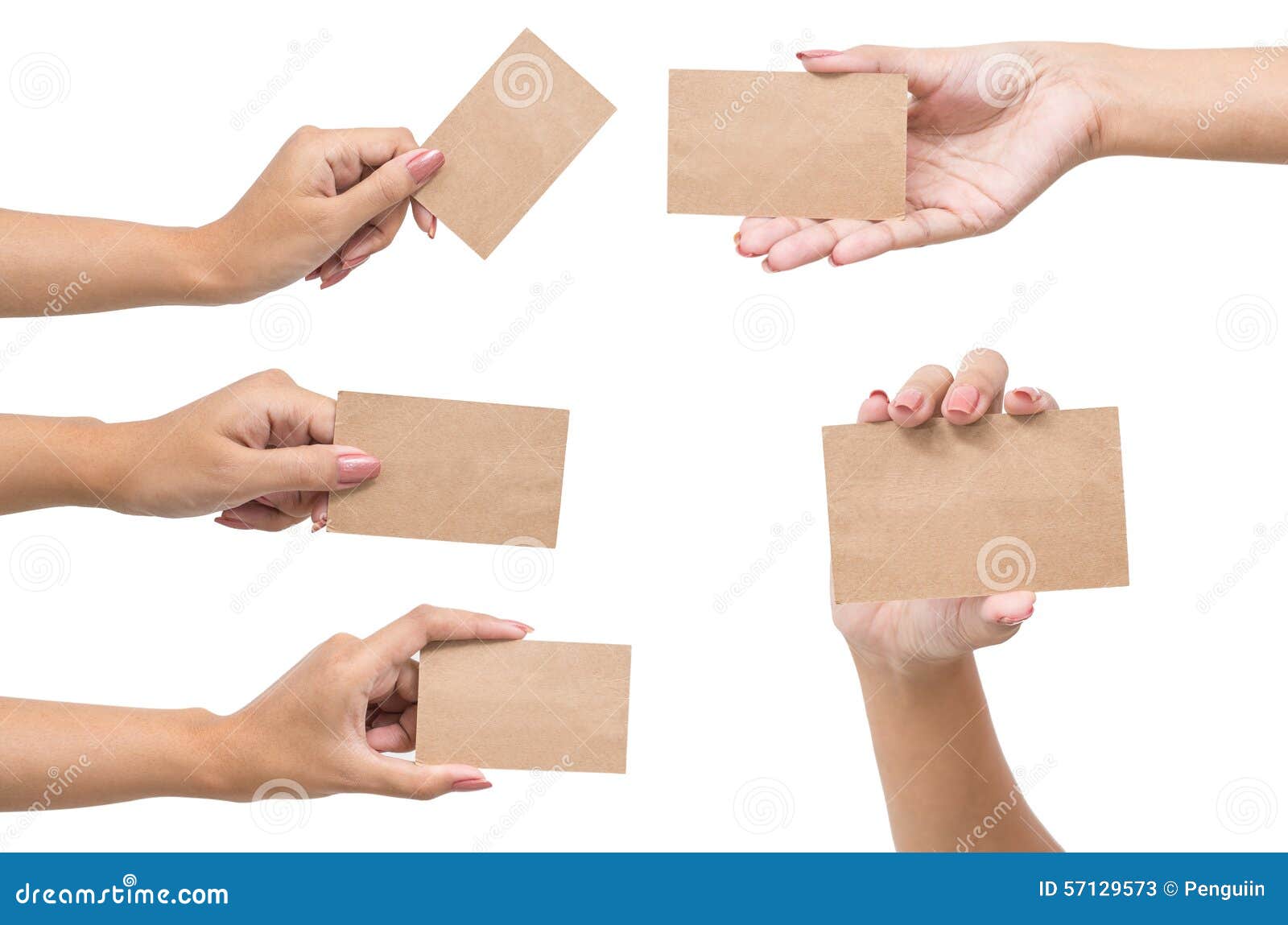 10,805 Hand Cards Isolated Stock Photos - Free & Royalty-Free Stock ...