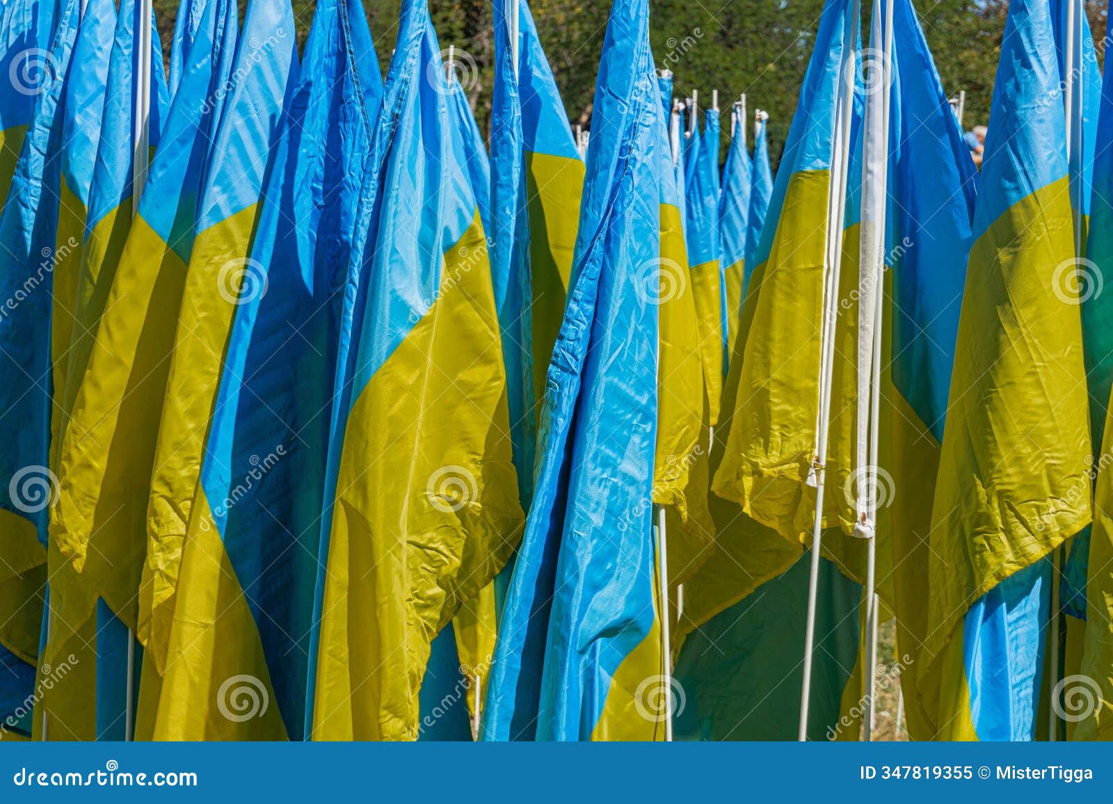 Collection of Blue and Yellow Flags Arranged in Rows, Moving Due To ...