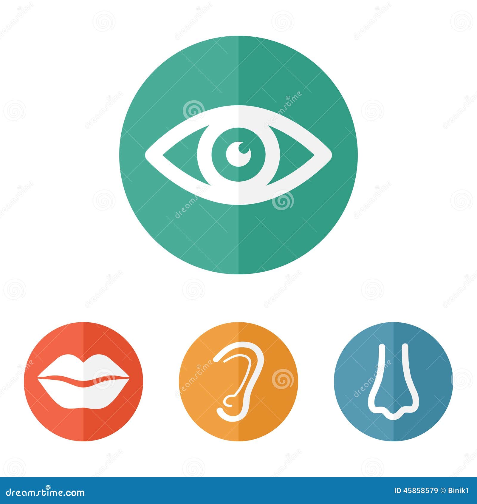 Collection of body parts. stock illustration. Illustration of medical ...