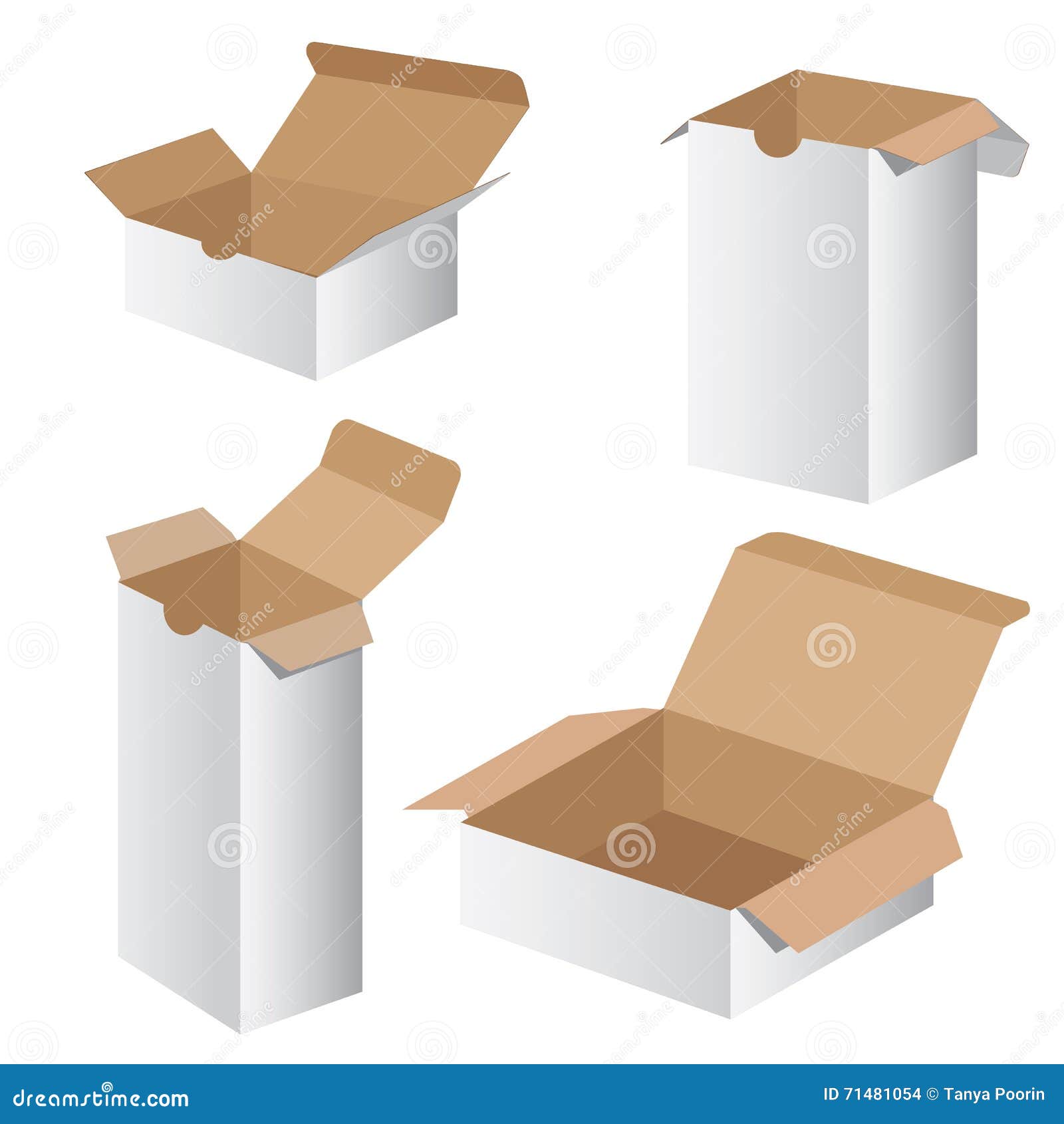 Collection Box Packaging Design. Vector Collection Box Packaging Stock ...