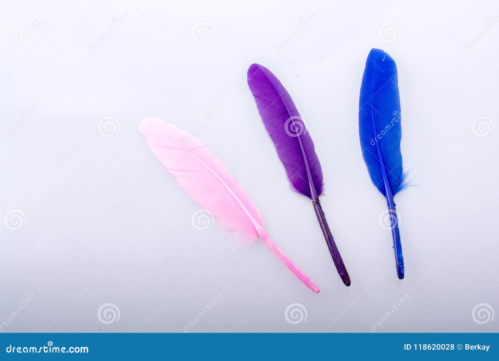 Collection of Bright Colored Feathers on White Background Stock Photo ...