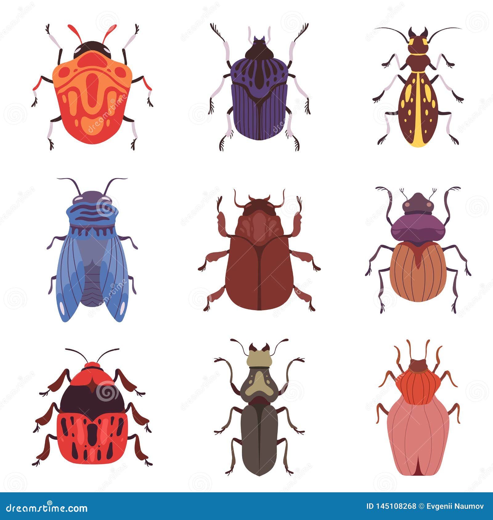 Collection of Bugs and Beetles, Various Insects Species Top View Vector ...