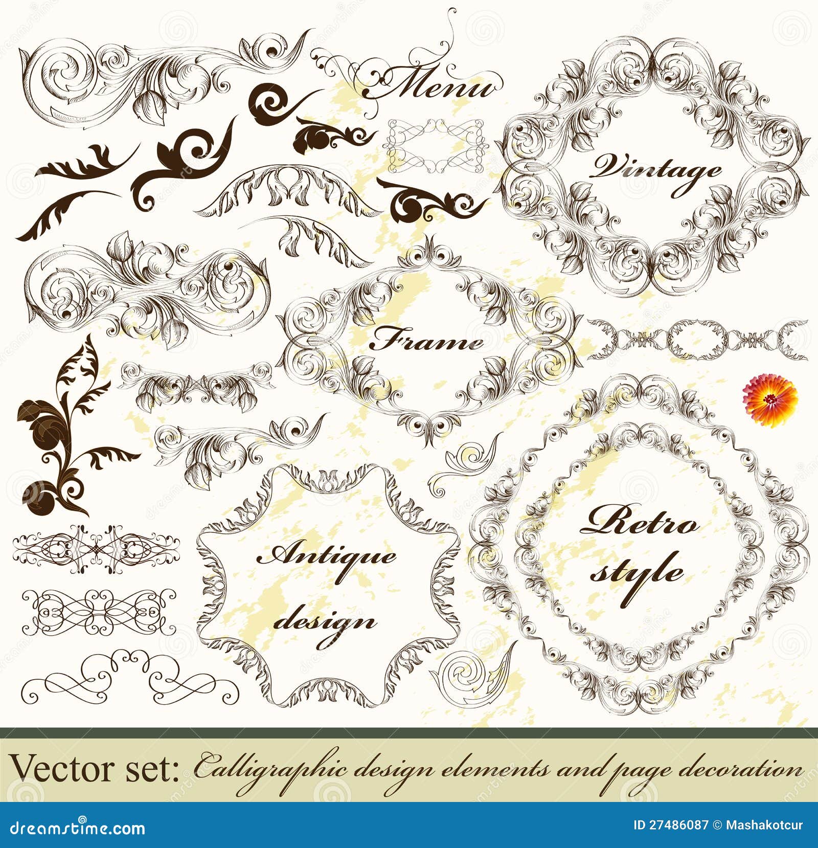 Collection of Calligraphic Decorative Vector Stock Vector ...