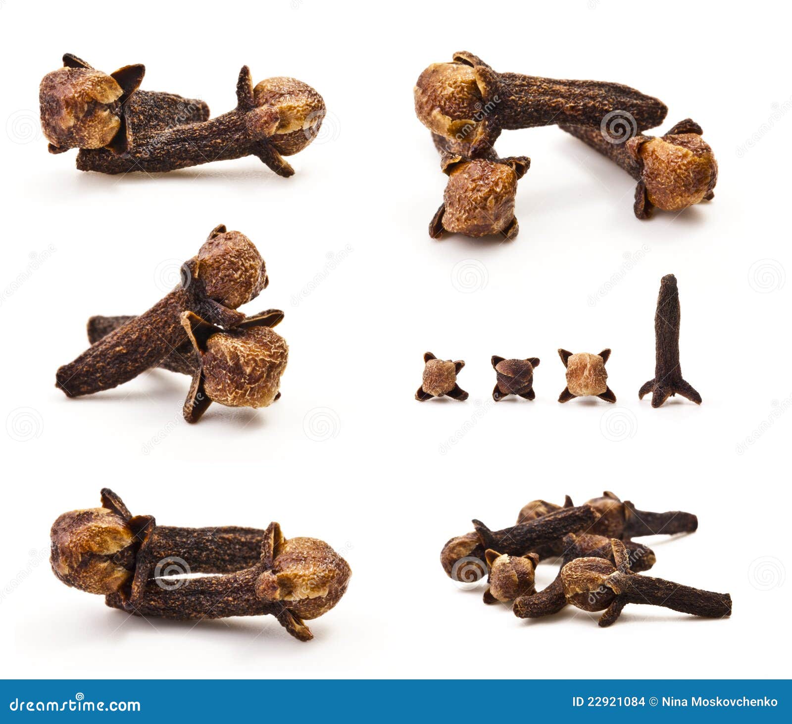 Collection of Carnation (spices) Stock Photo - Image of focus, macro ...