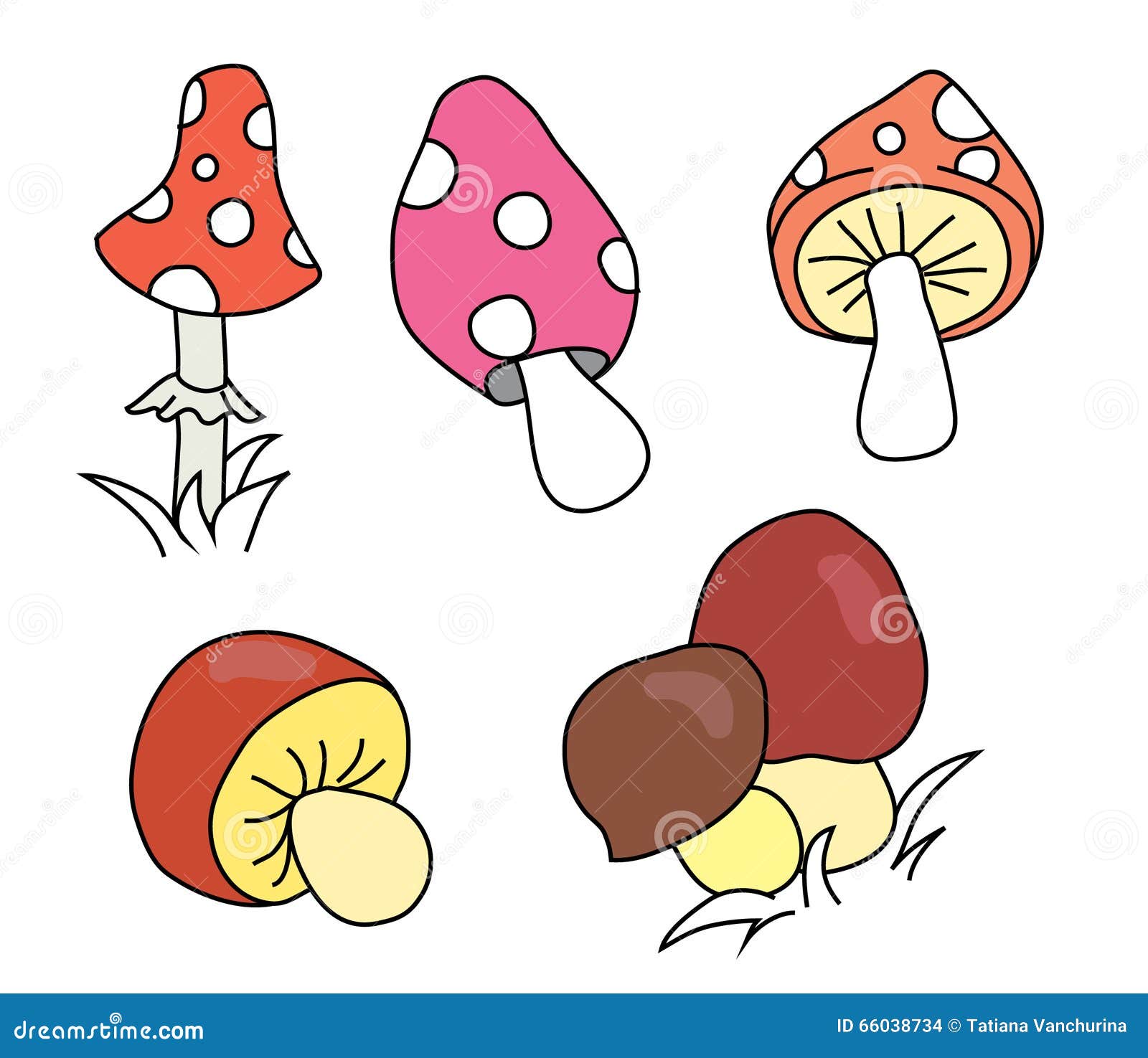 Collection of Cartoon Different Mushrooms. Stock Vector - Illustration ...