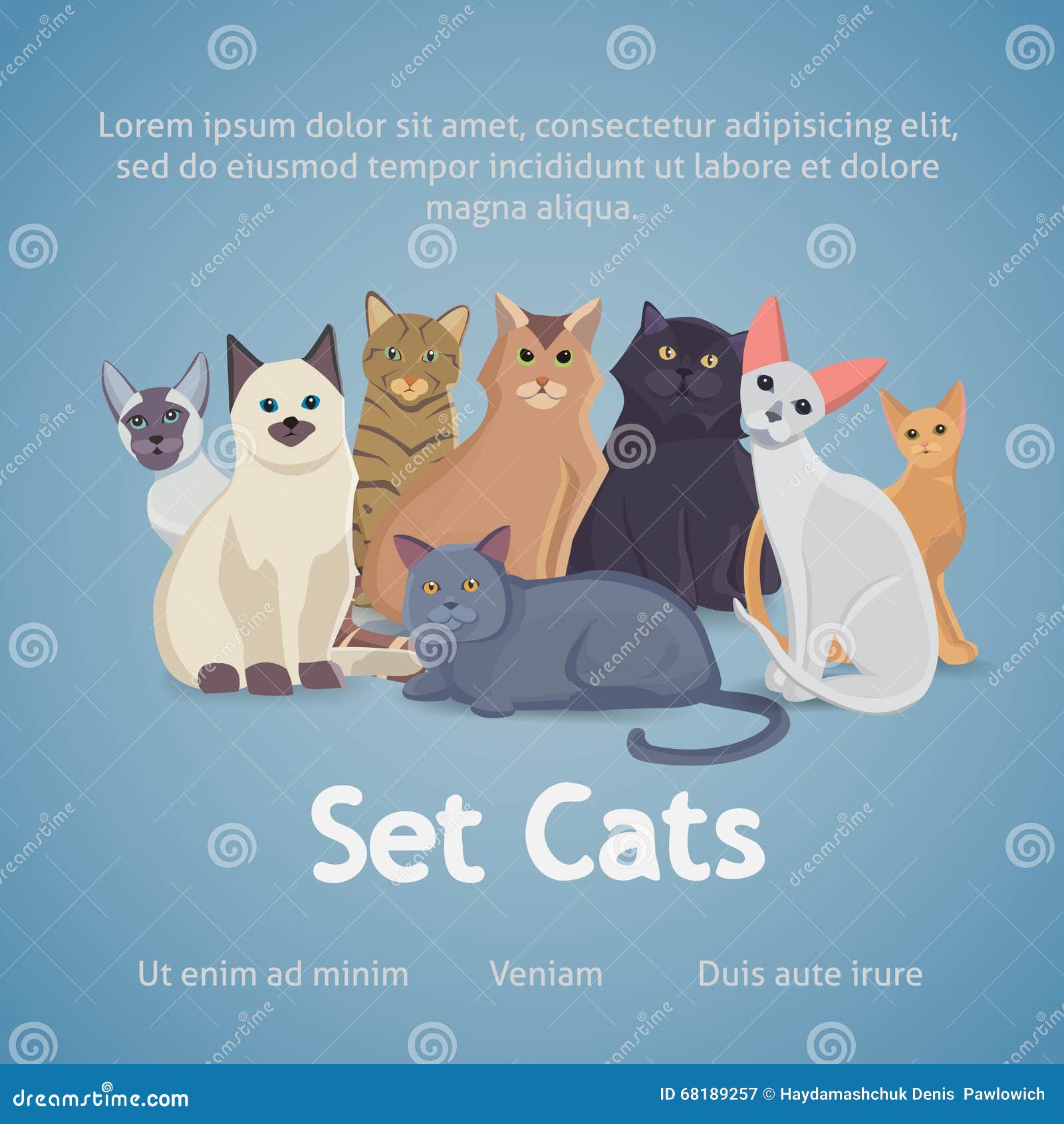 Collection of Cats of Different Breeds. Set Cats Stock Vector ...