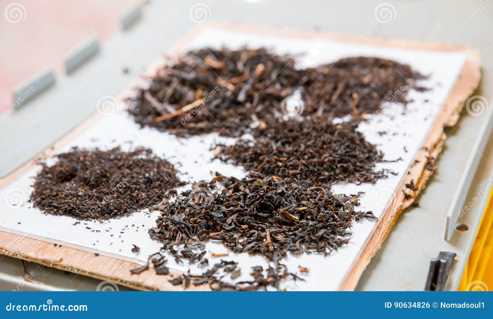 Collection of Ceylon Teas Closeup View Stock Photo - Image of green ...