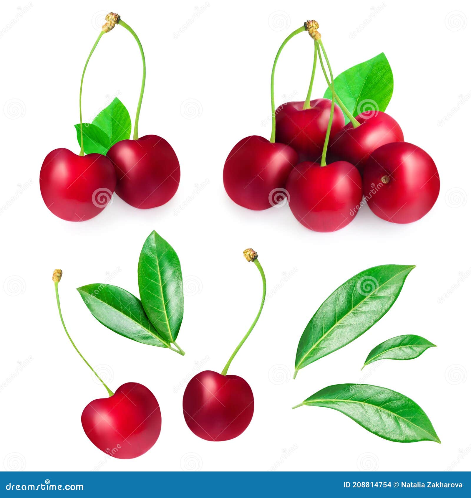 Collection of Cherry Berries with Green Leaves Isolated on White ...