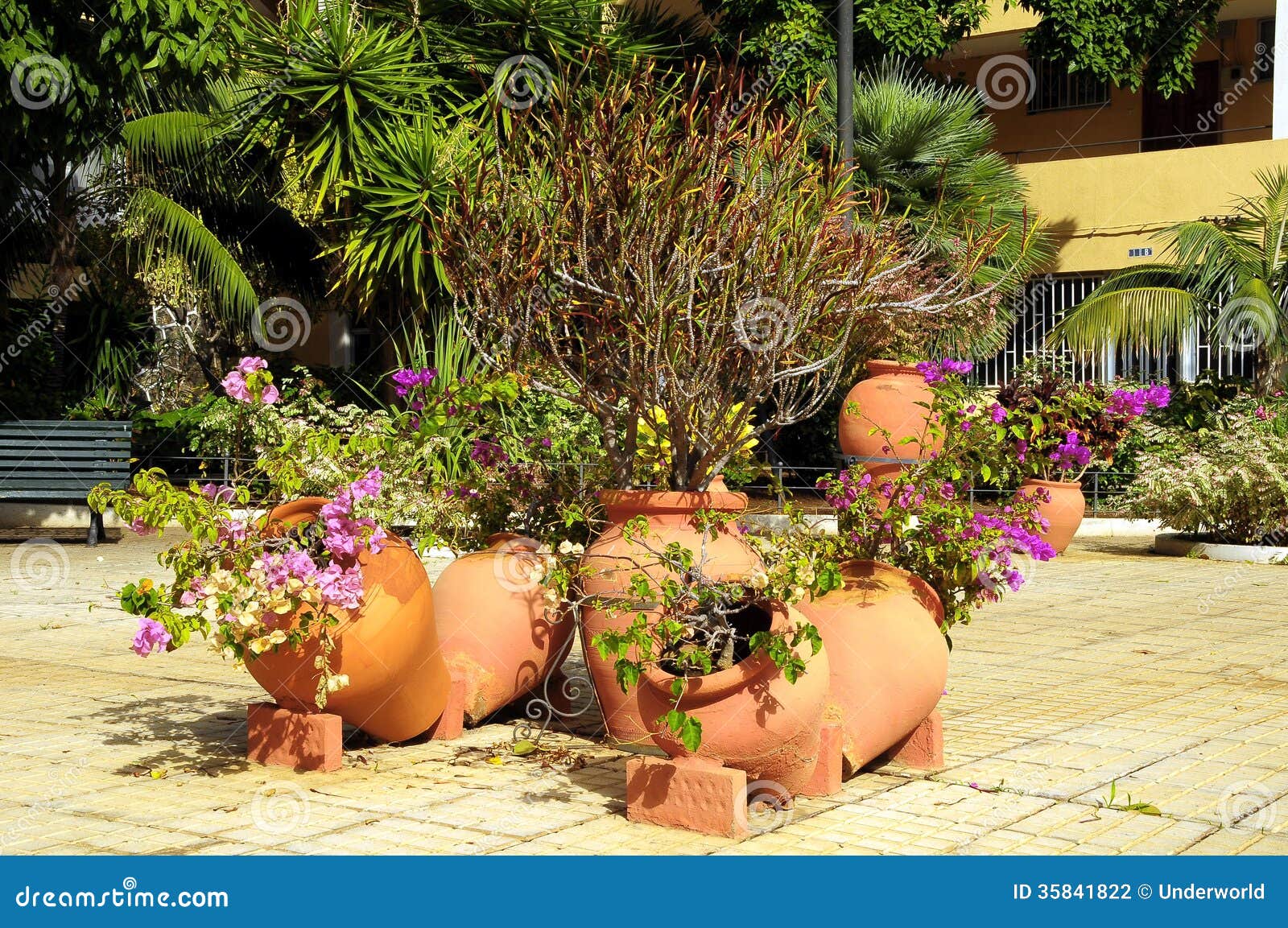 Collection of clay pots stock photo. Image of growth - 35841822