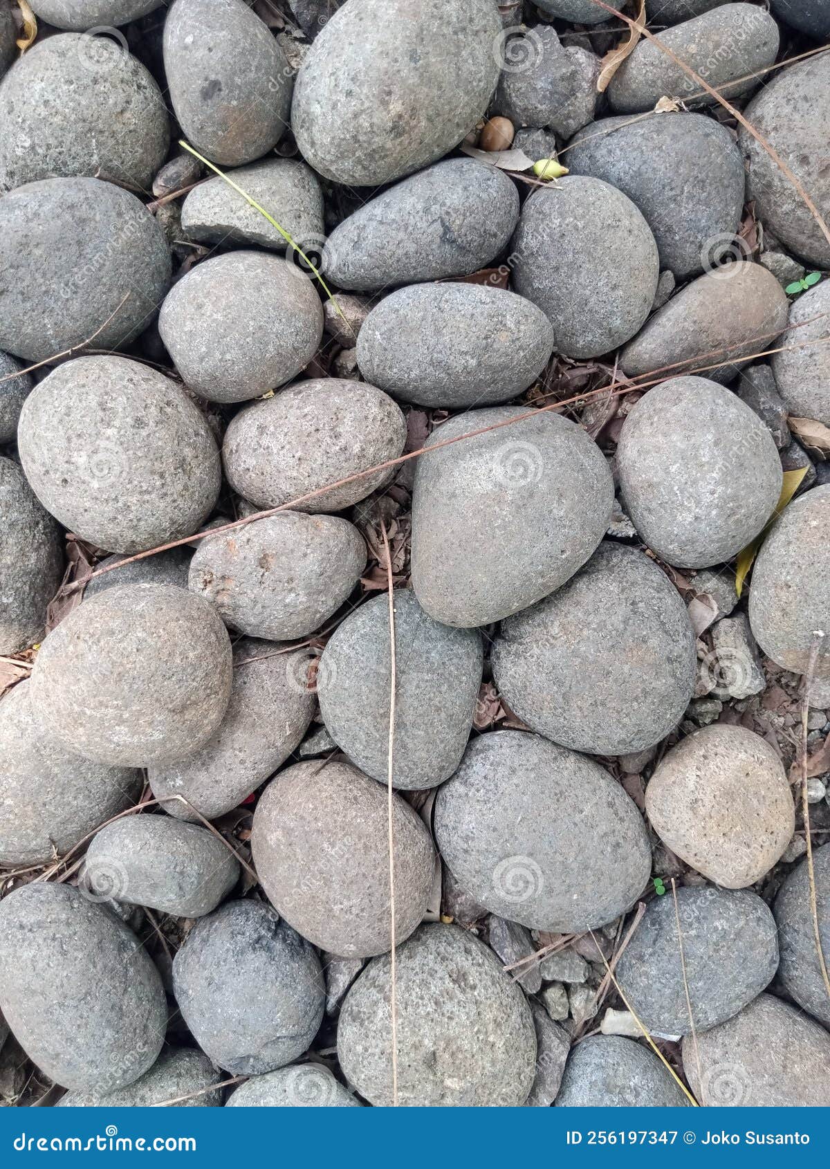 A Collection of Cobblestones of Various Sizes Stock Image - Image of ...