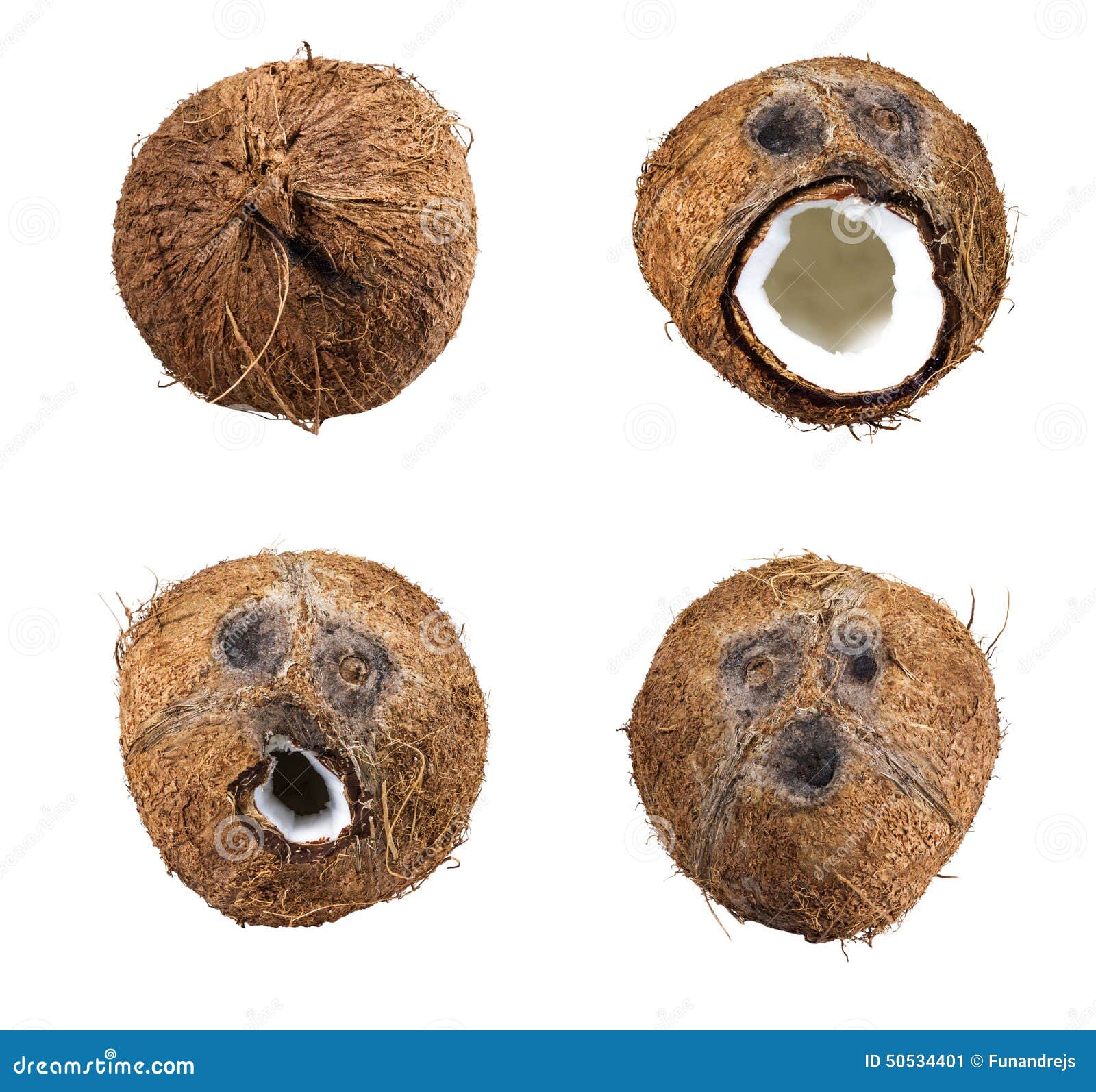Collection of Coconuts Set Isolated on White Stock Image - Image of ...
