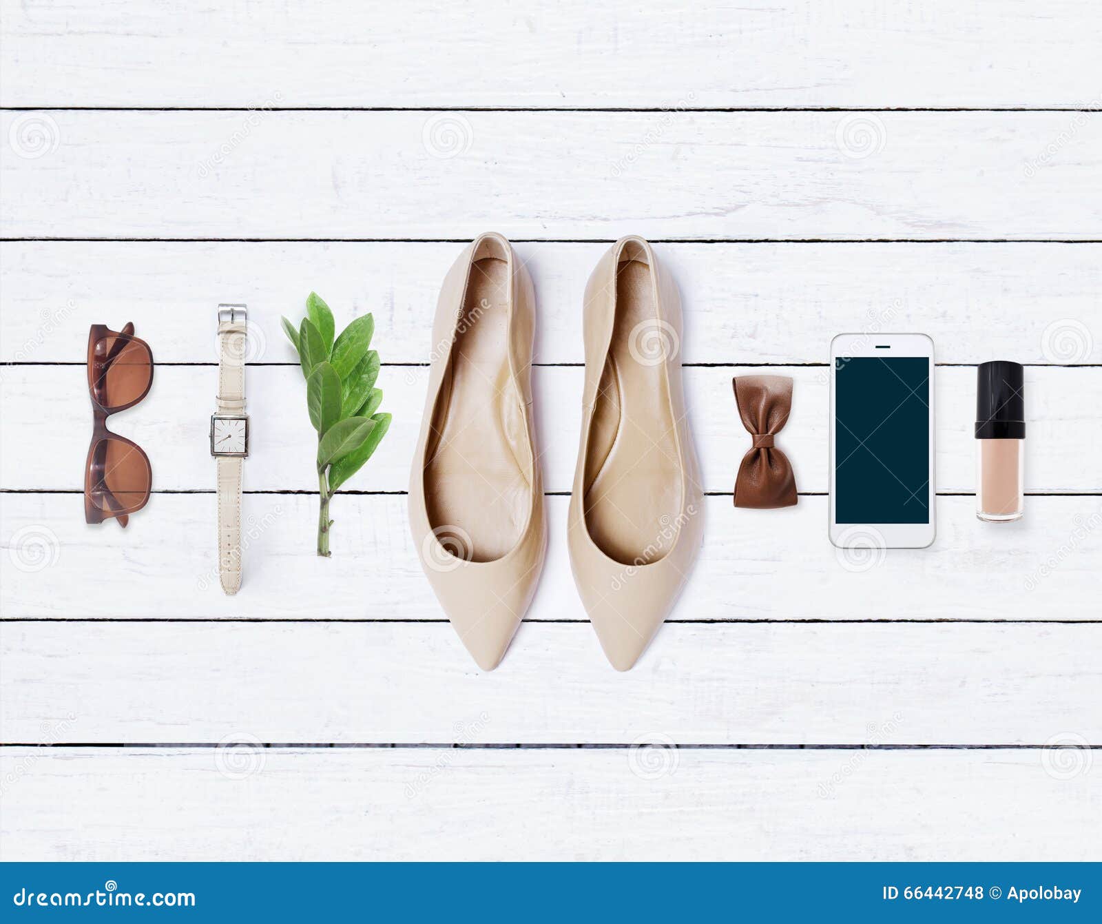 Collection Collage of Women S Accessories Stock Photo - Image of ...