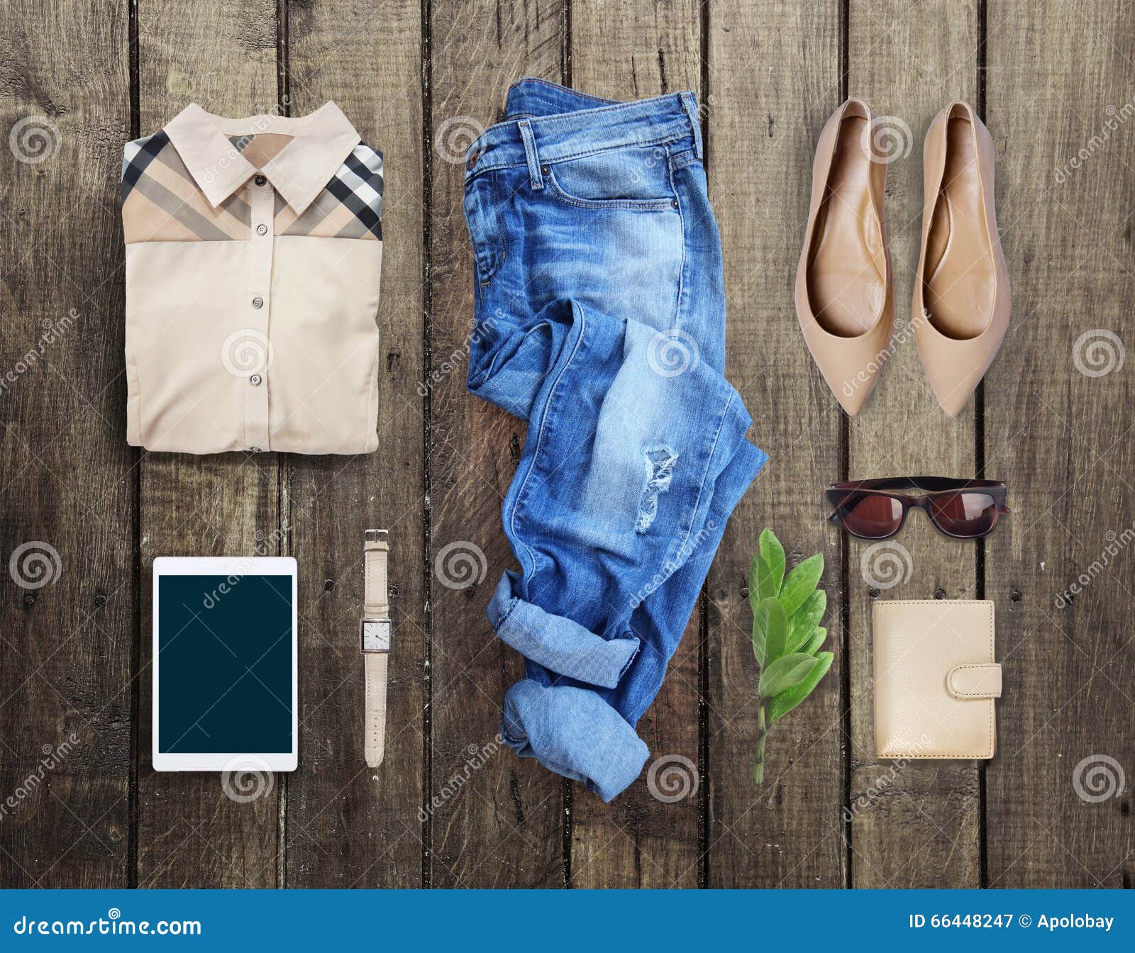 Collection Collage of Women S Clothing Stock Image - Image of design ...