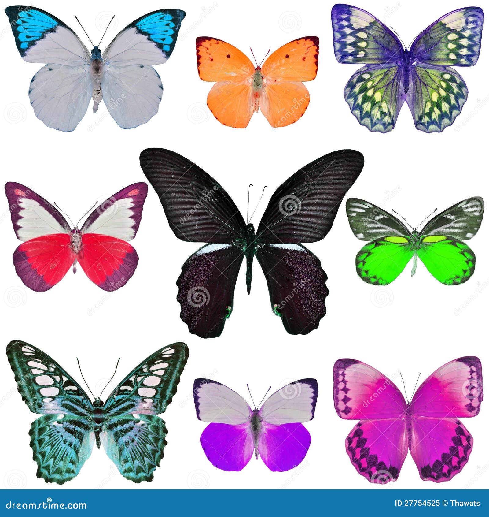Collection of Colored Butterflies Stock Image - Image of design ...