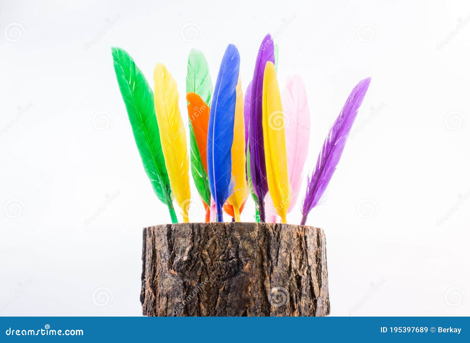 Collection of Colored Feathers on Wooden Log Stock Image - Image of ...