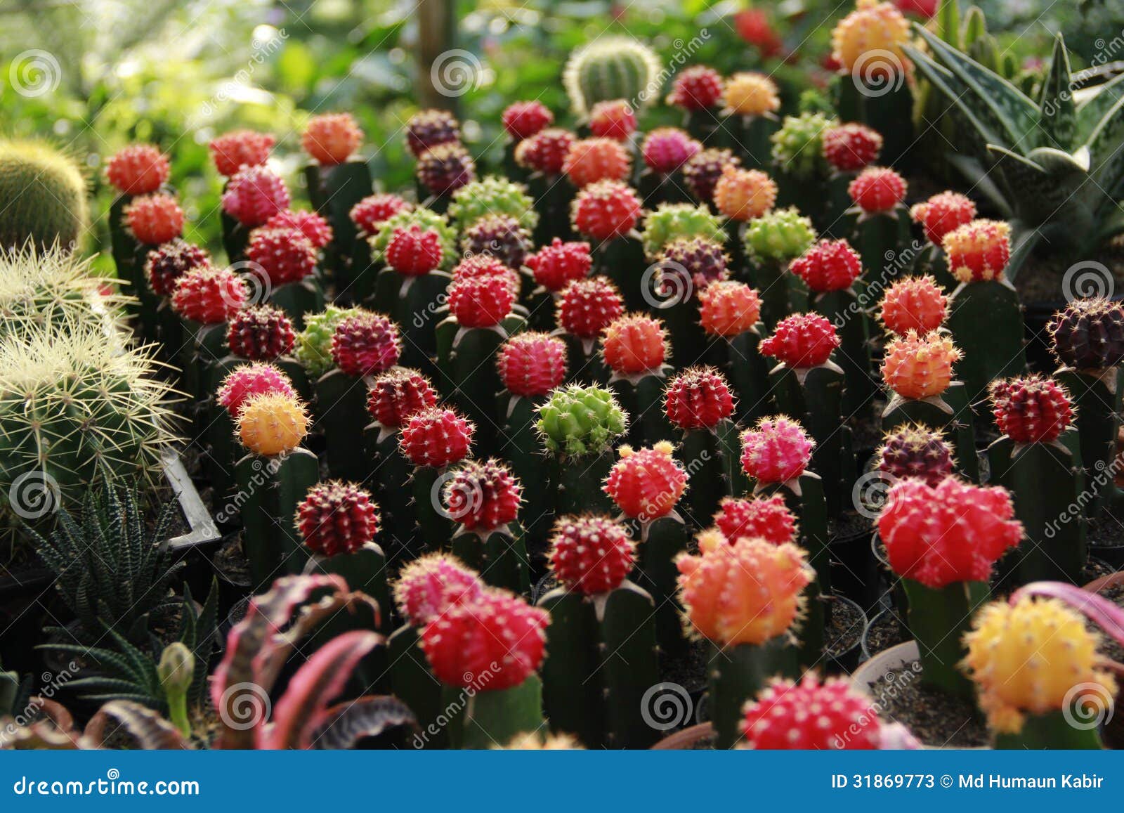 Royalty Free Images, Cartoons, Illustrations And Photos Designed By ...