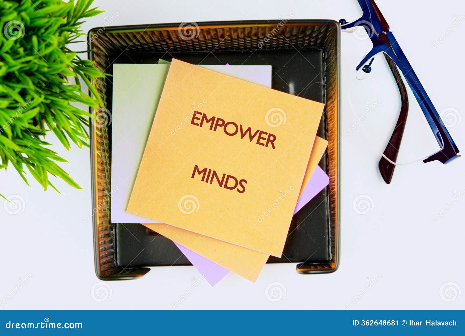 Collection of Colorful Notes Highlighting the Theme Empower Minds As ...