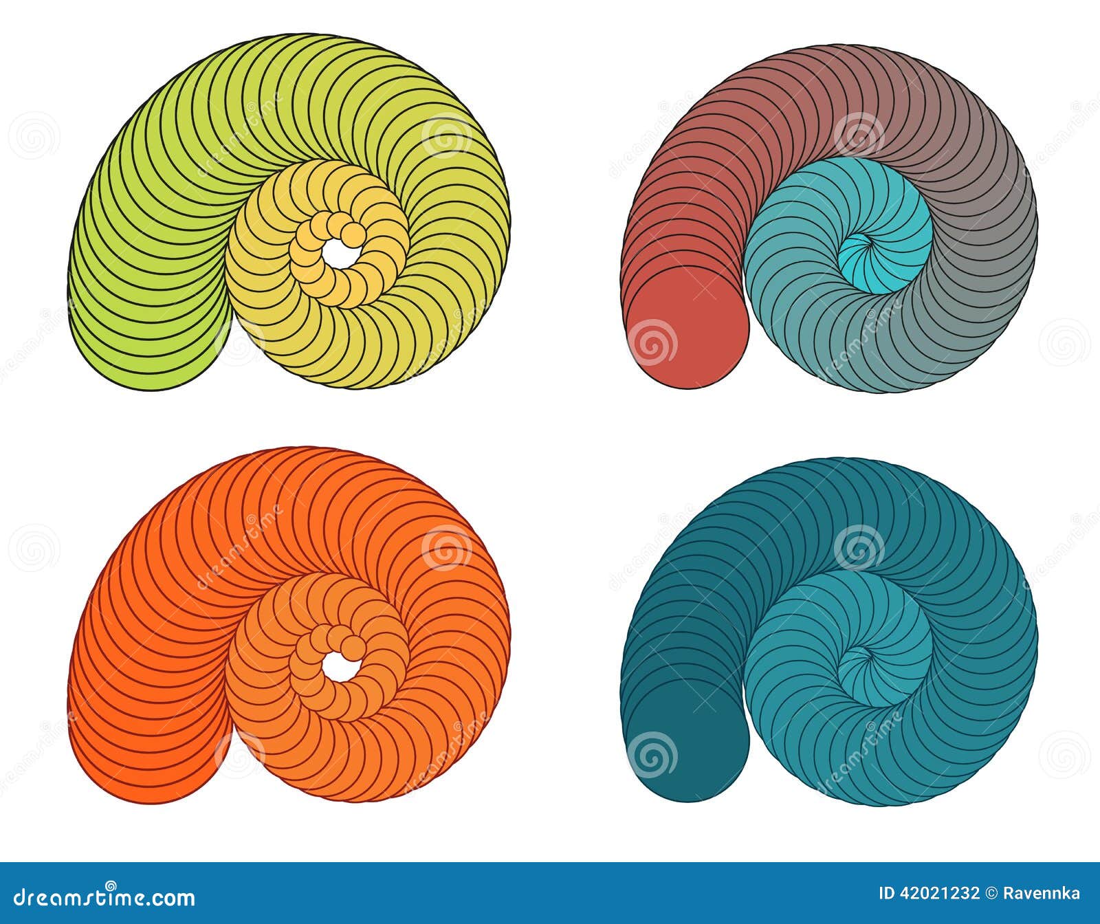 Collection of Colorful Shells Stock Vector - Illustration of flat ...
