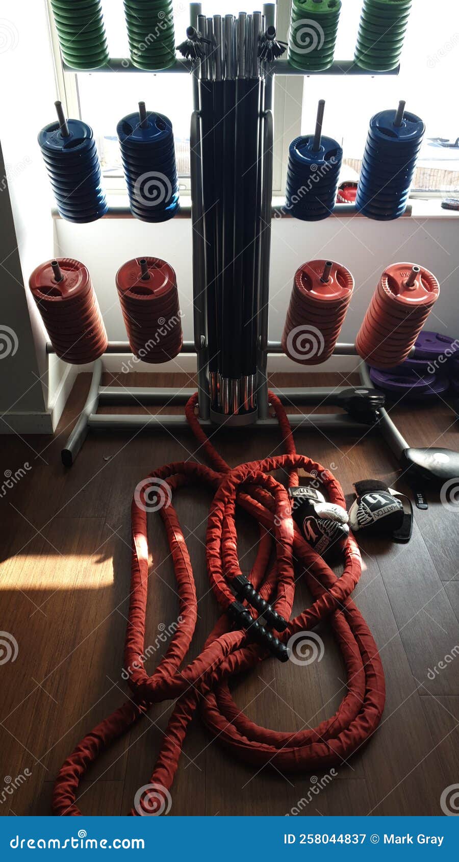 Colourful Coded Weights editorial photography. Image of sports - 258044837