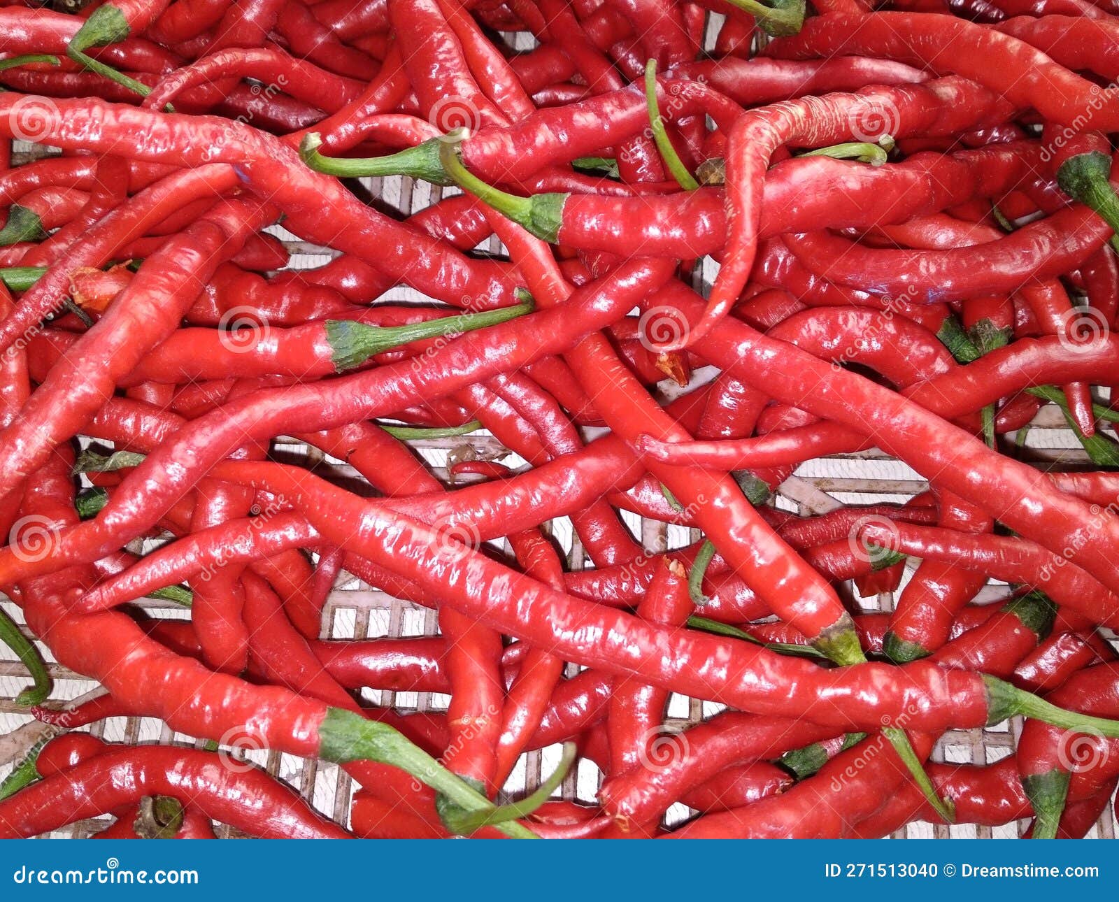 A Collection of Curly Red Chilies in a Container Stock Photo - Image of ...
