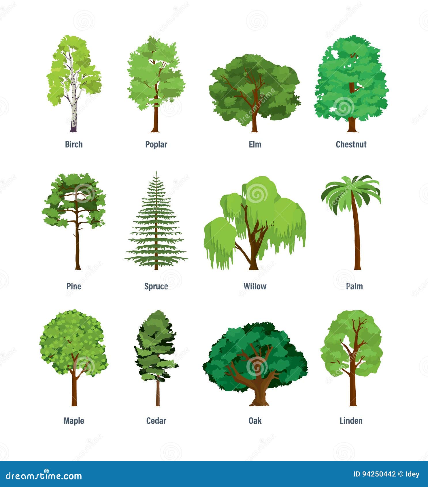 Collection De Différents Genres D'arbres Illustration de Vecteur ...