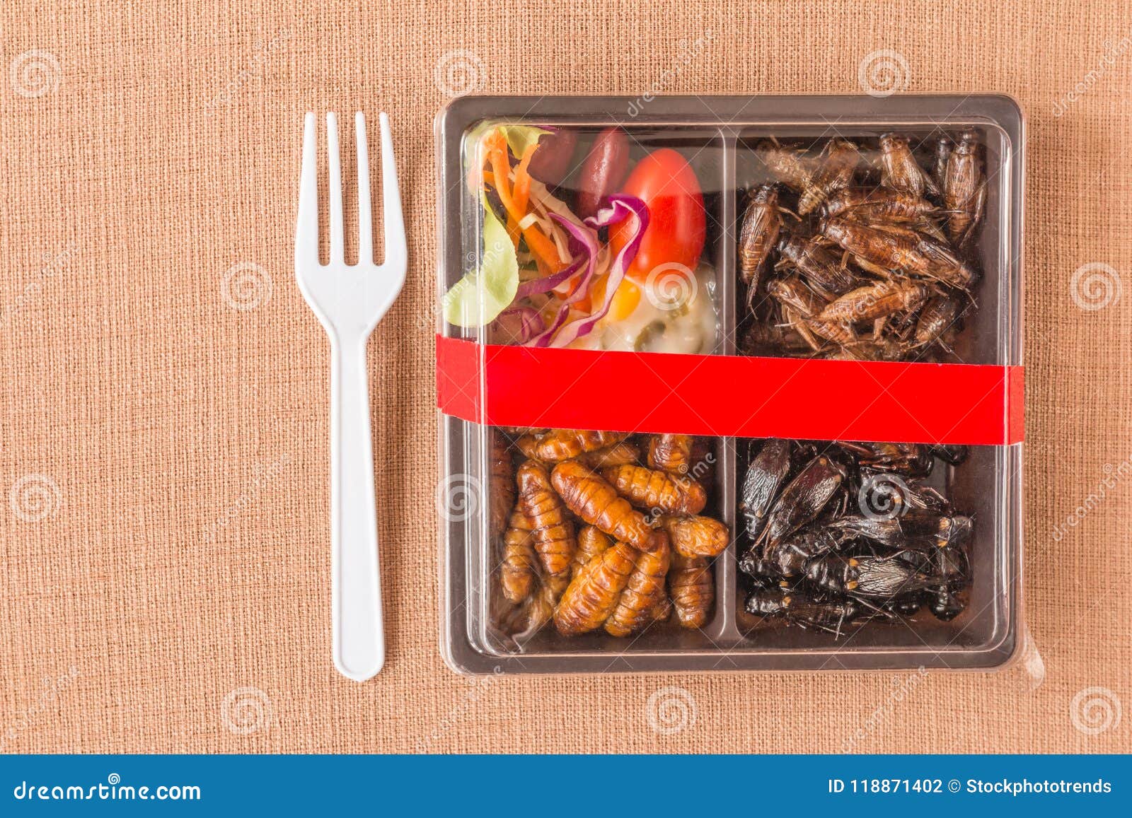 Collection De Nourriture D'insecte Photo stock - Image du frit ...