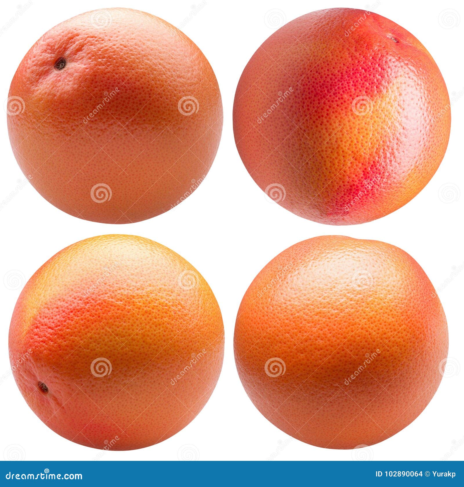 Collection De Pamplemousse D'isolement Sur Un Fond Blanc Photo stock ...