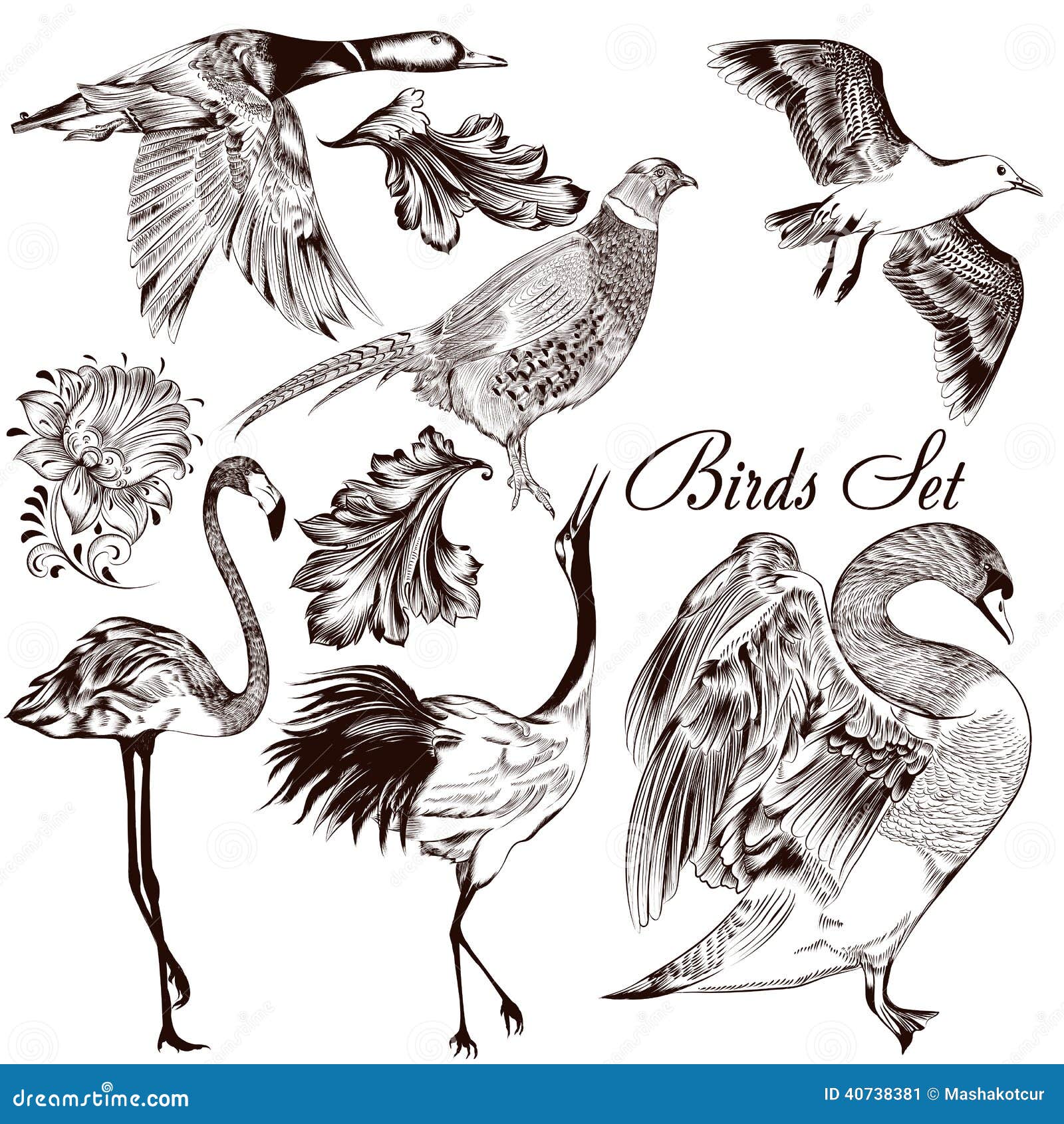 Collection of Detailed Hand Drawn Birds Stock Vector - Illustration of ...