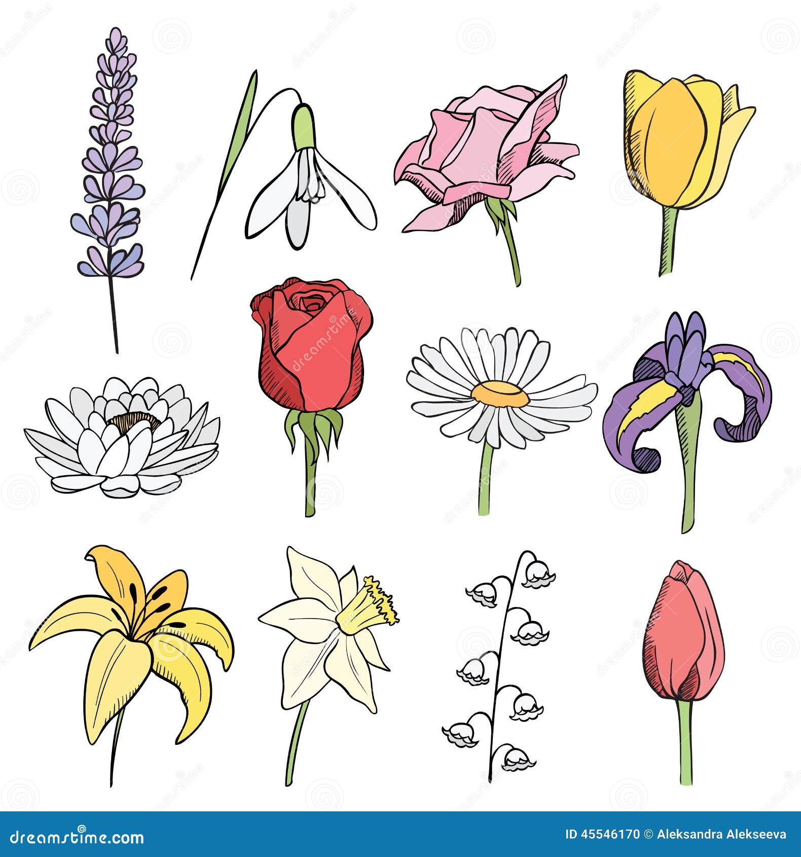 Collection Différente De Couleur De Beaucoup De Fleurs Illustration de ...
