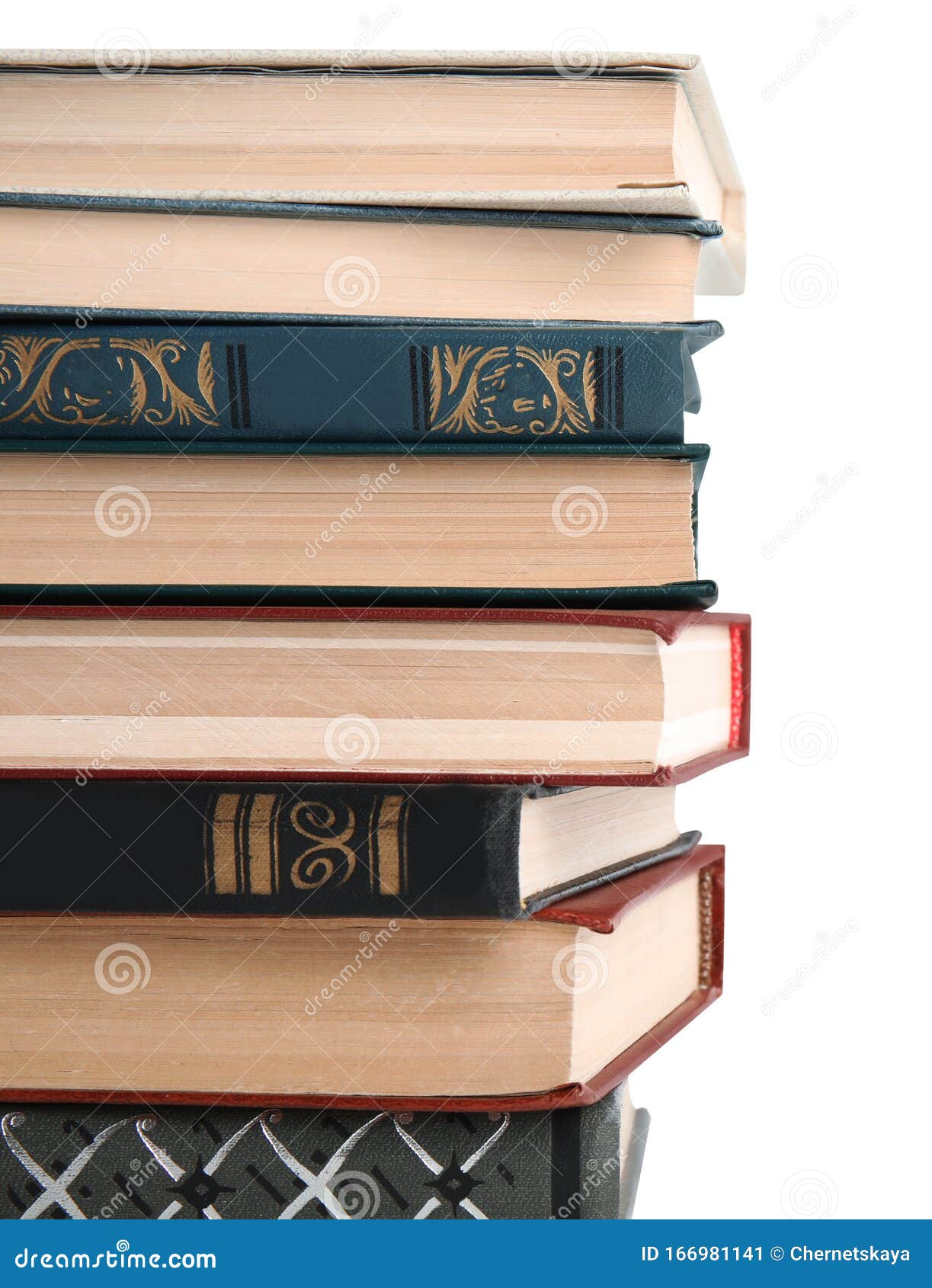 Collection of Different Books Isolated Stock Image - Image of culture ...