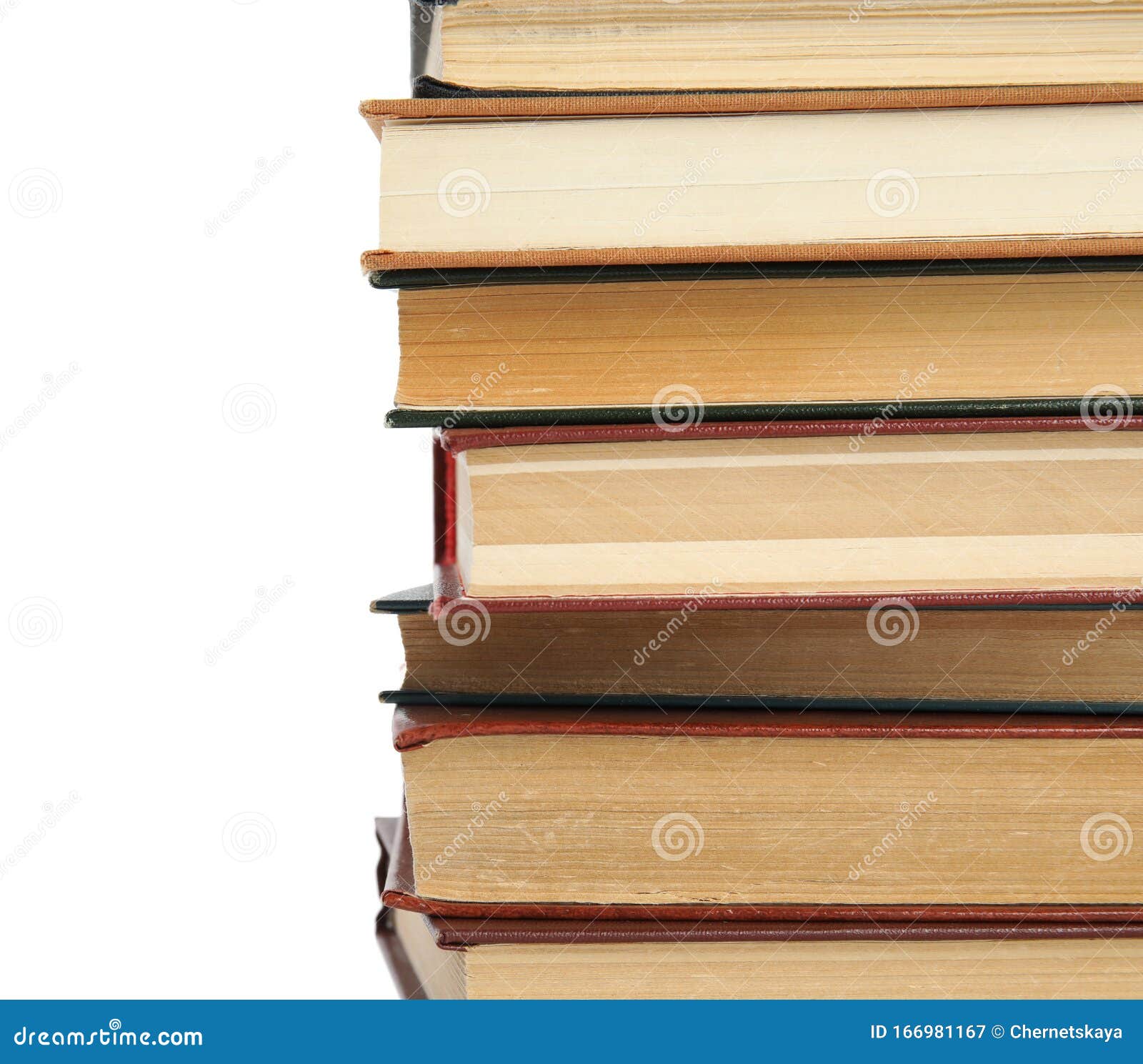 Collection of Different Books Isolated Stock Image - Image of culture ...
