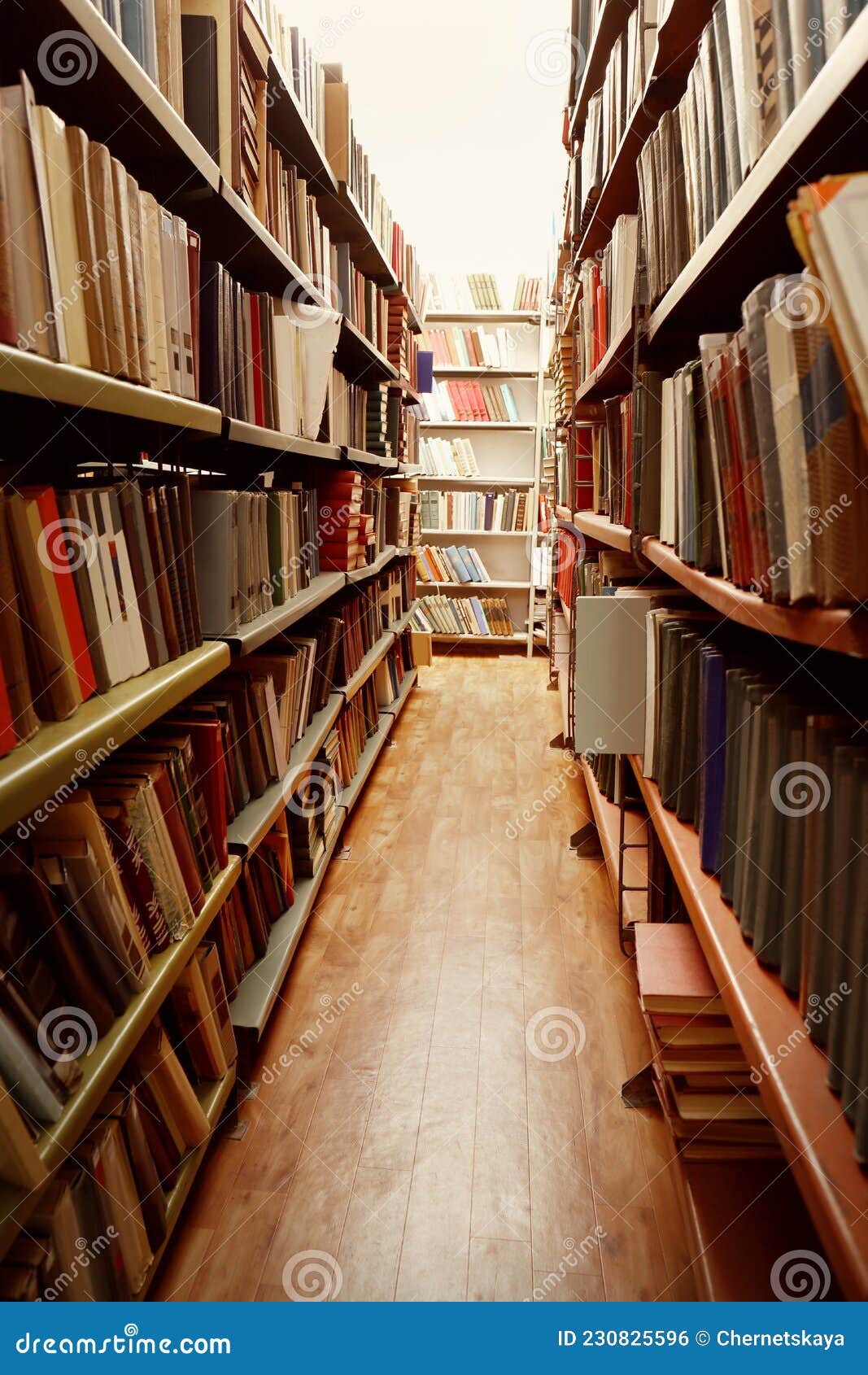 Collection of Different Books on Shelves in Library Stock Photo - Image ...