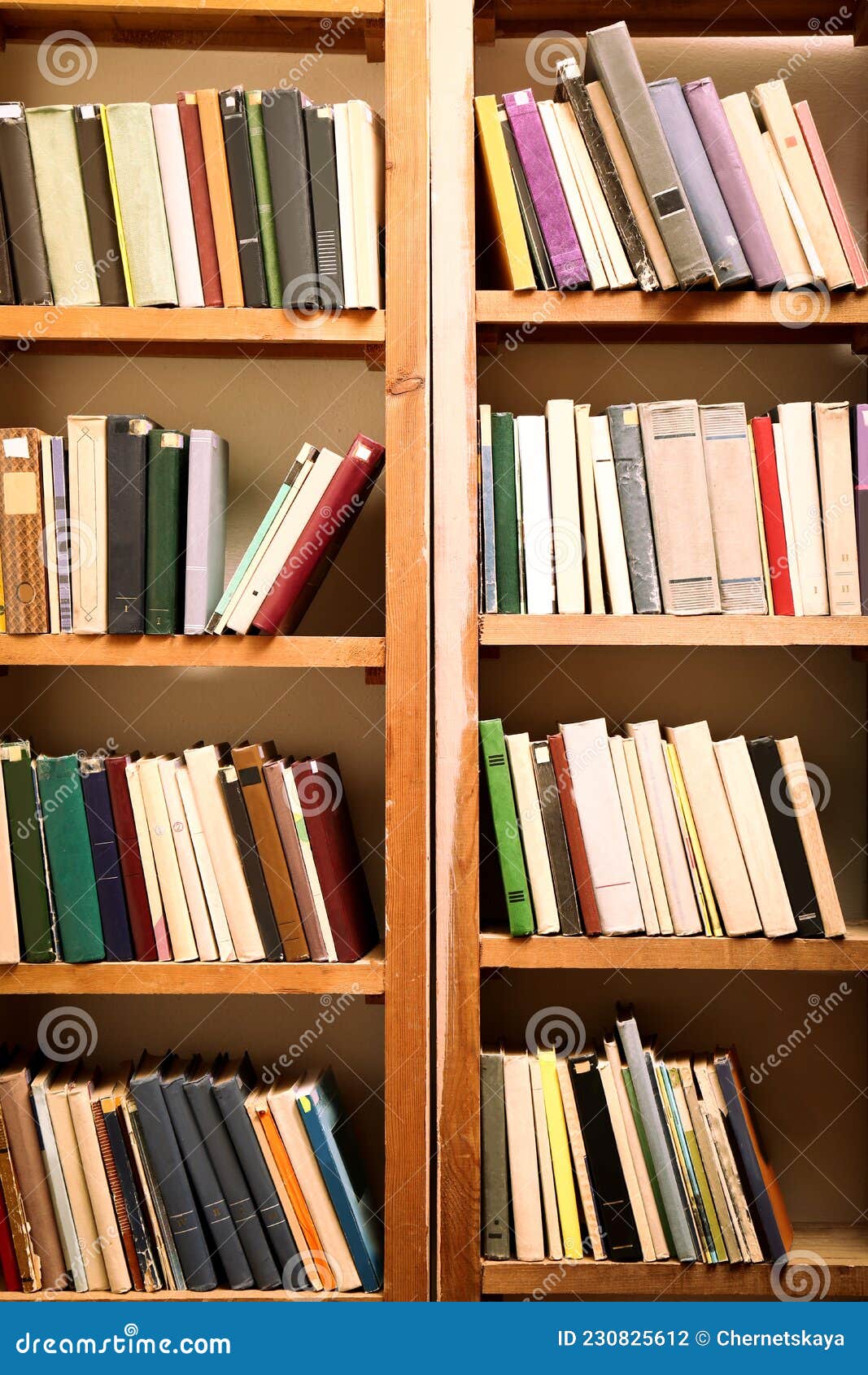 Collection of Different Books on Shelves in Library Stock Photo - Image ...