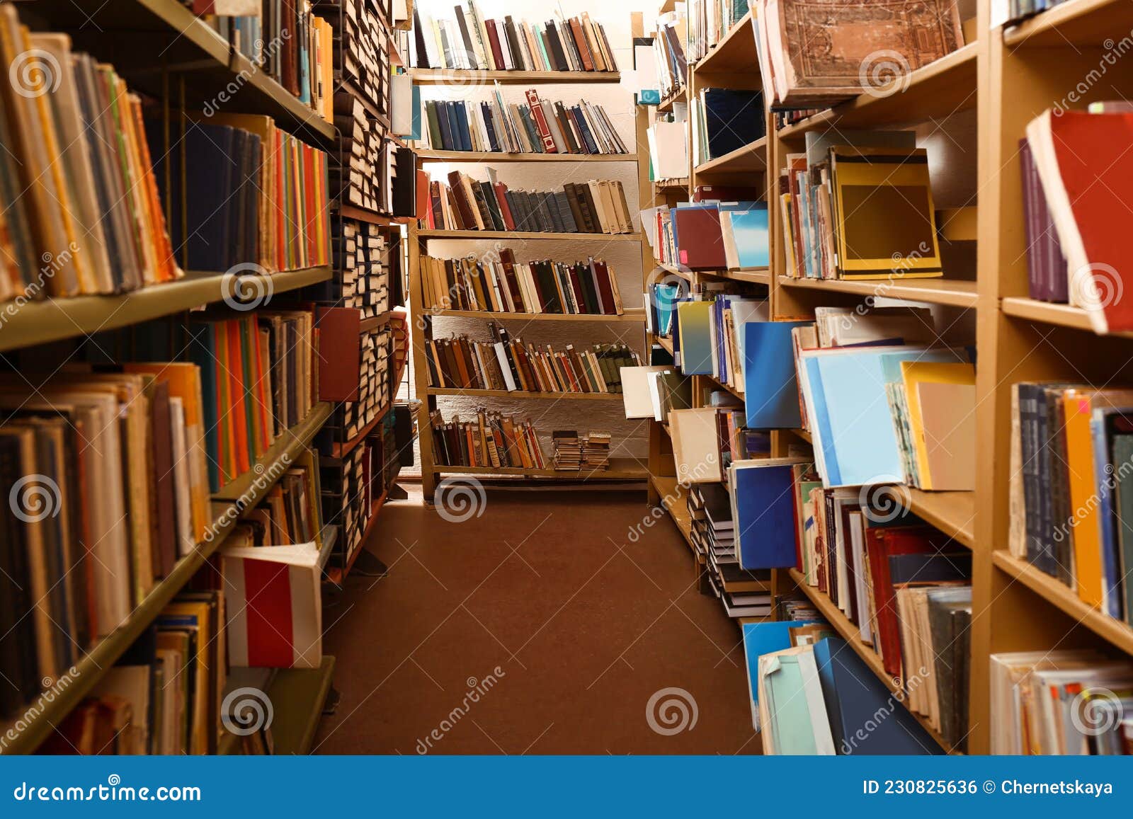 Collection of Different Books on Shelves in Library Stock Photo - Image ...