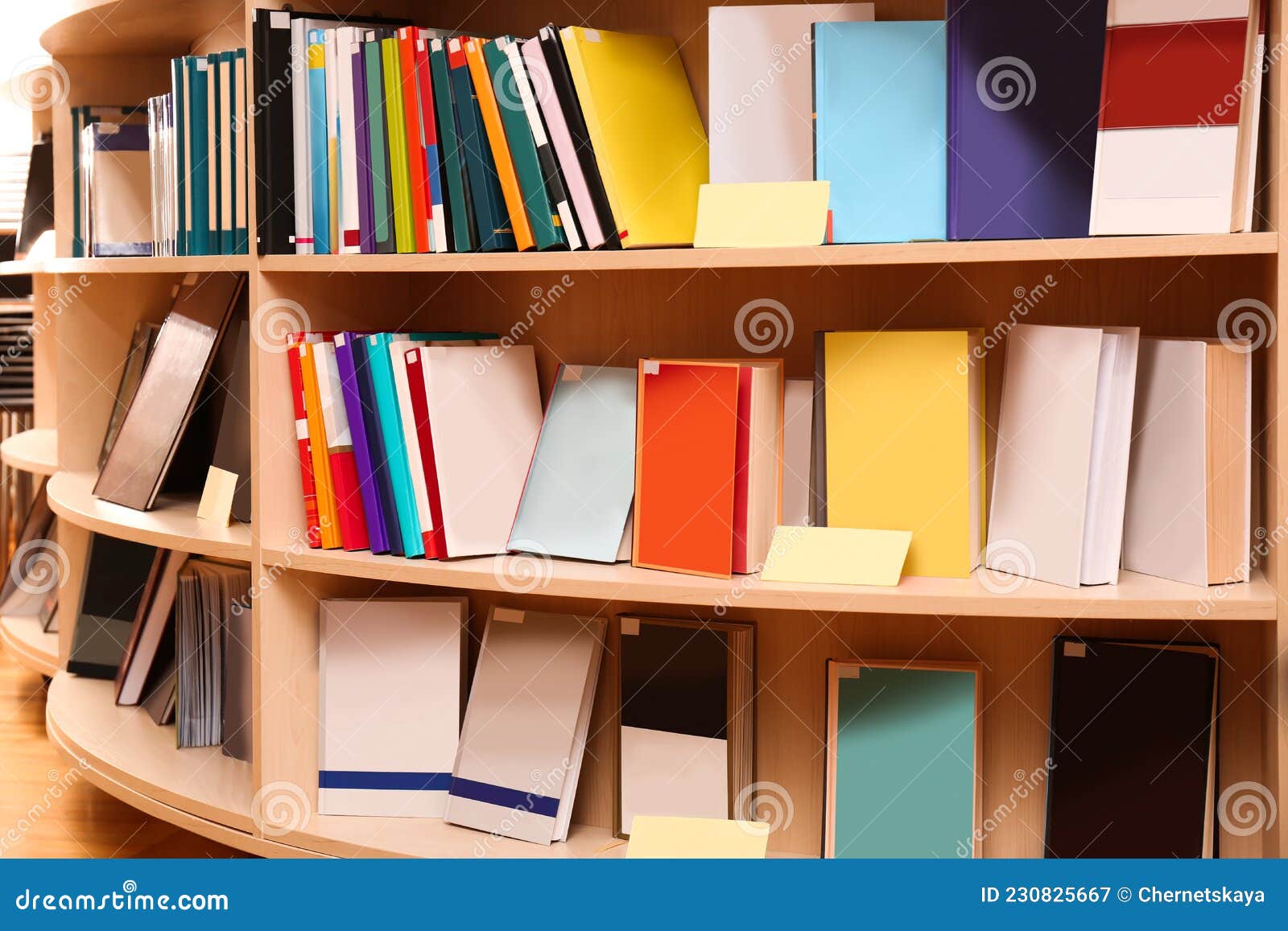 Collection of Different Books on Shelves in Library Stock Image - Image ...