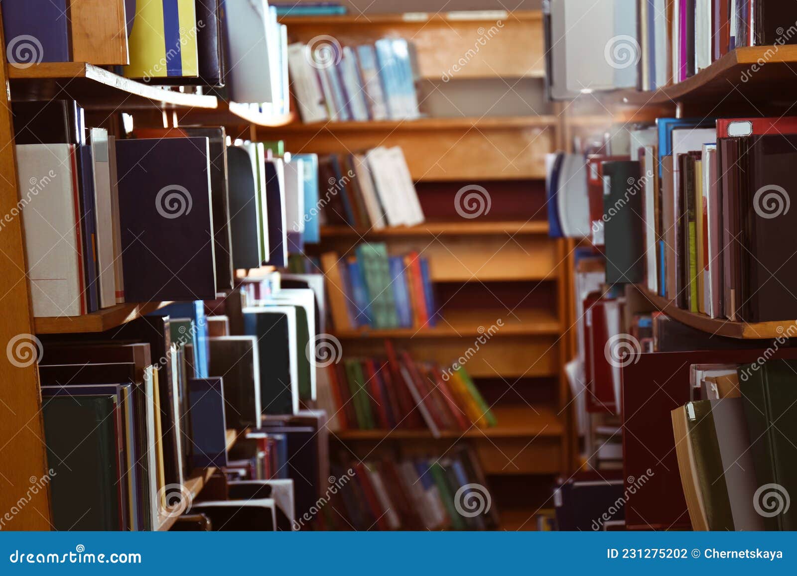 Collection of Different Books on Shelves in Library Stock Photo - Image ...