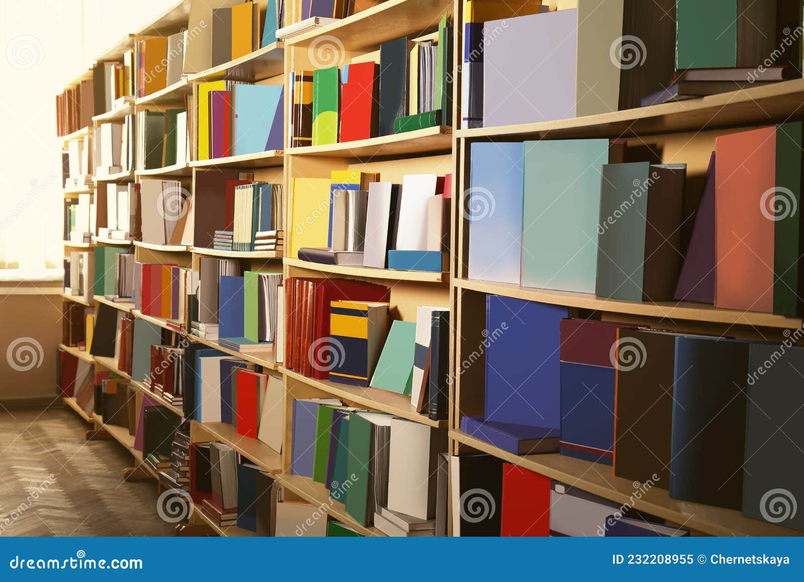 Collection of Different Books on Shelves in Library Stock Image - Image ...